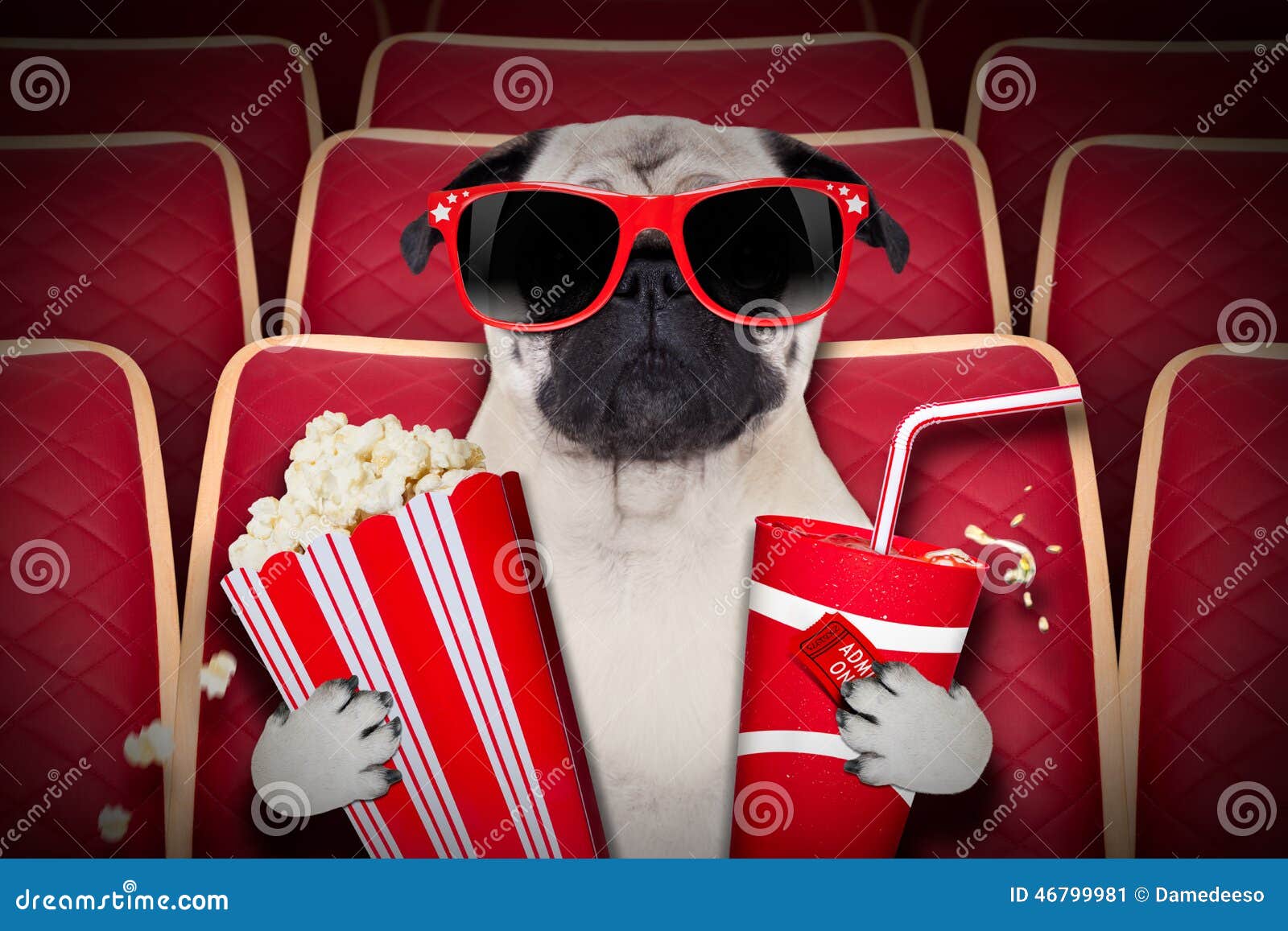 Hond bij de films stock afbeelding. Image of voedsel - 46799981