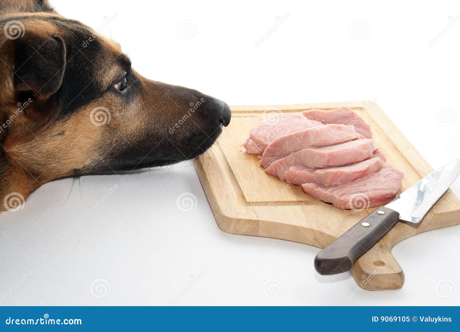 Hond en vlees stock afbeelding. Image of barbecue, slager - 9069105