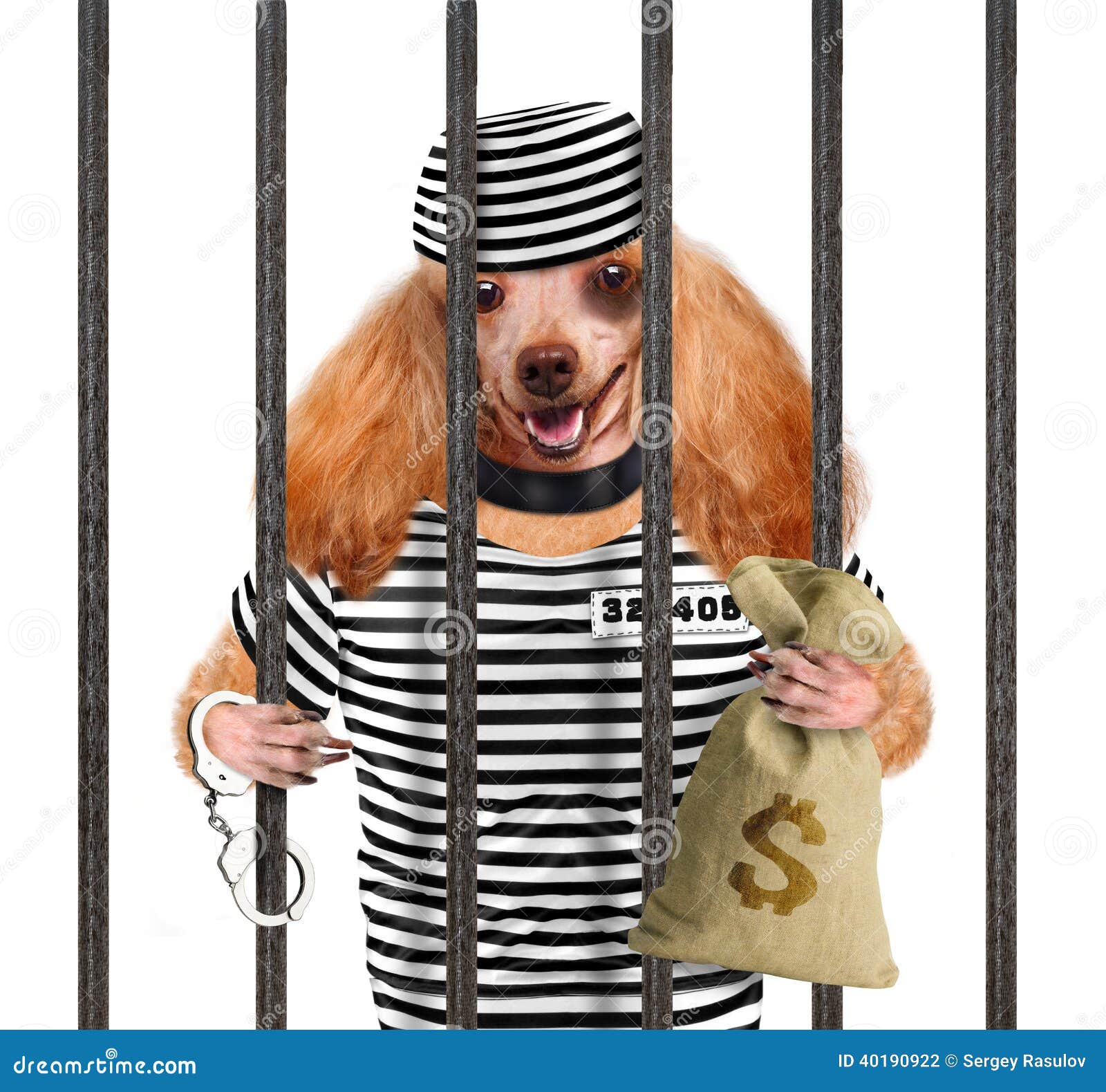 Hond in gevangenis. stock foto. Image of brutaal, arrestatie - 40190922