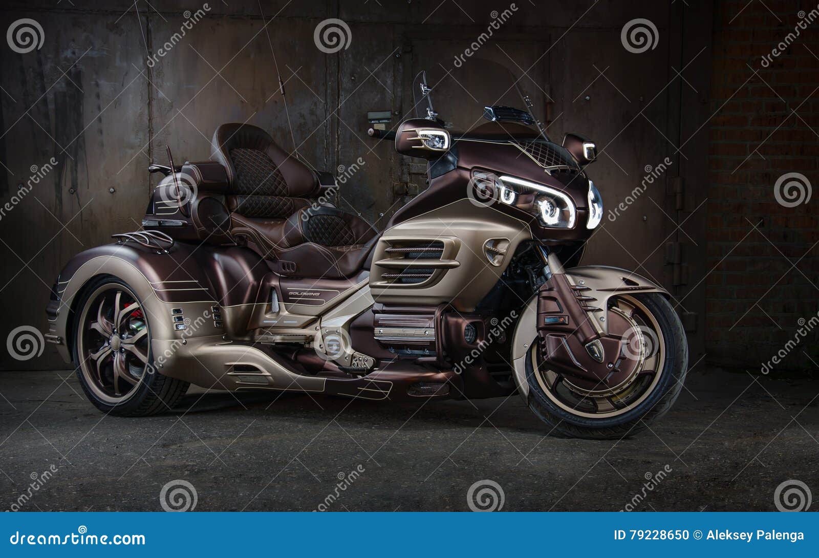 Honda Goldwing Custom
