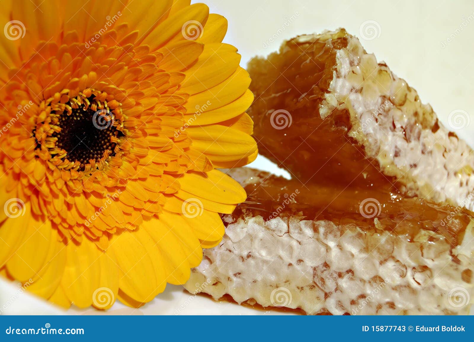 1,410 Honey Block Stock Photos - Free & Royalty-Free Stock Photos from ...