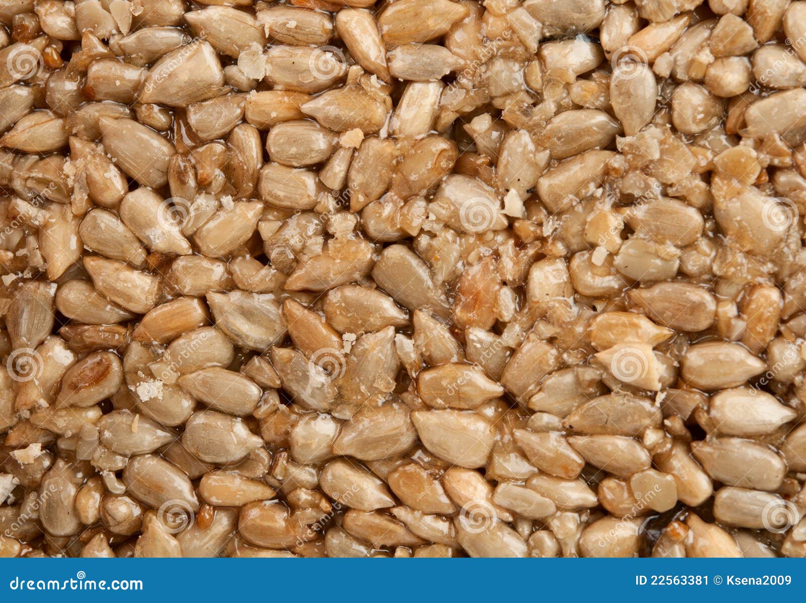 Honey Bears with Sunflower Seeds Stock Image - Image of delicious ...