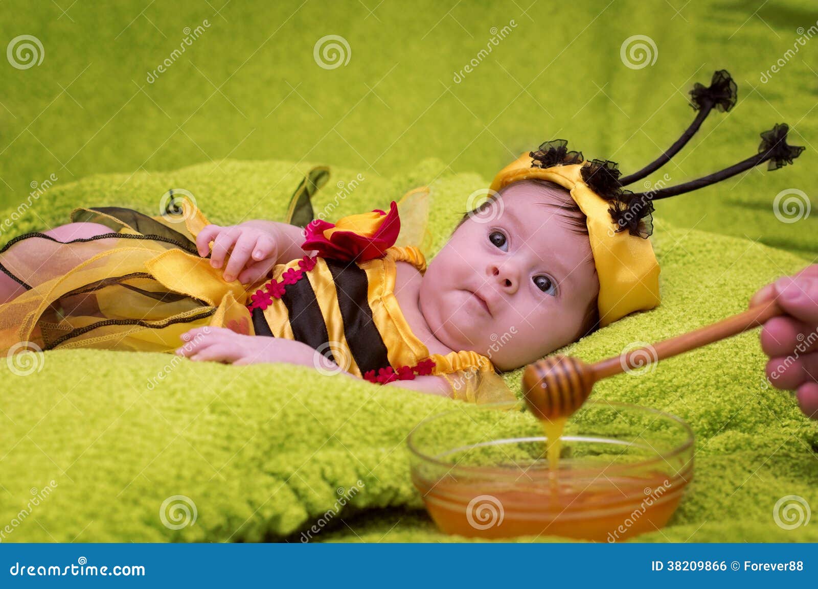 Honey Bee Baby fotografia stock. Immagine di costume - 38209866