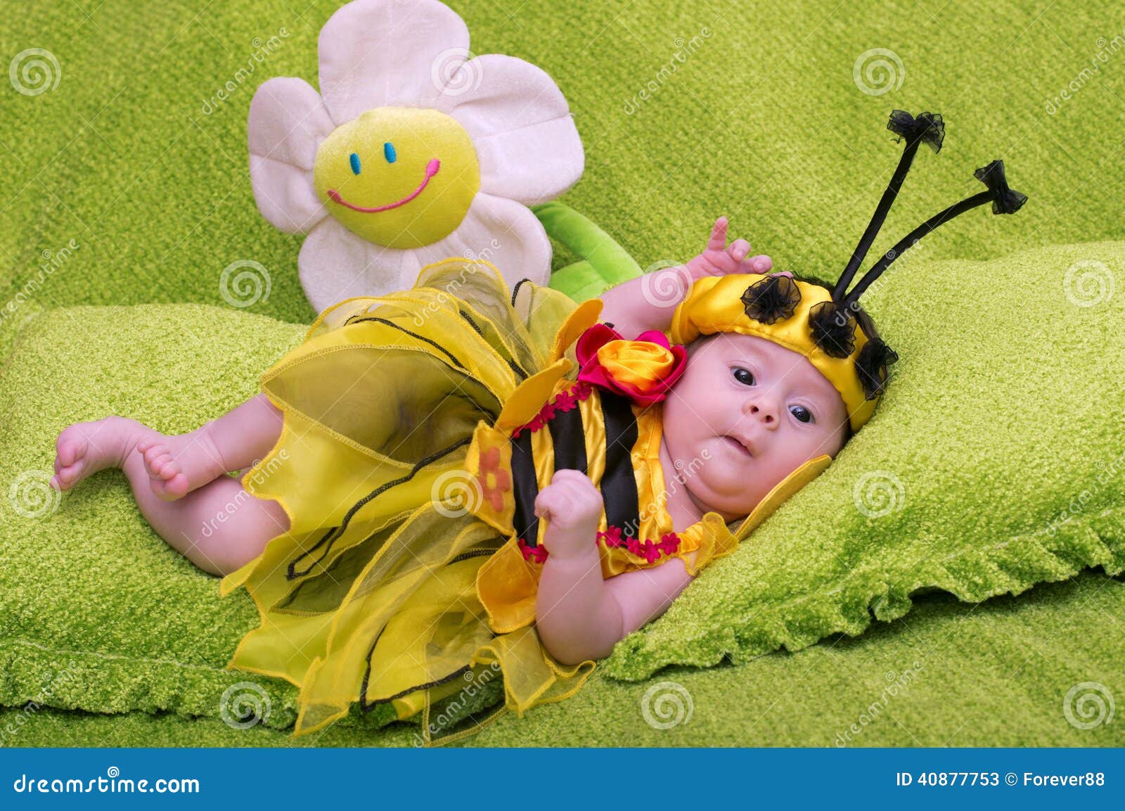 Honey Bee Baby stock image. Image of caucasian, abstract - 40877753