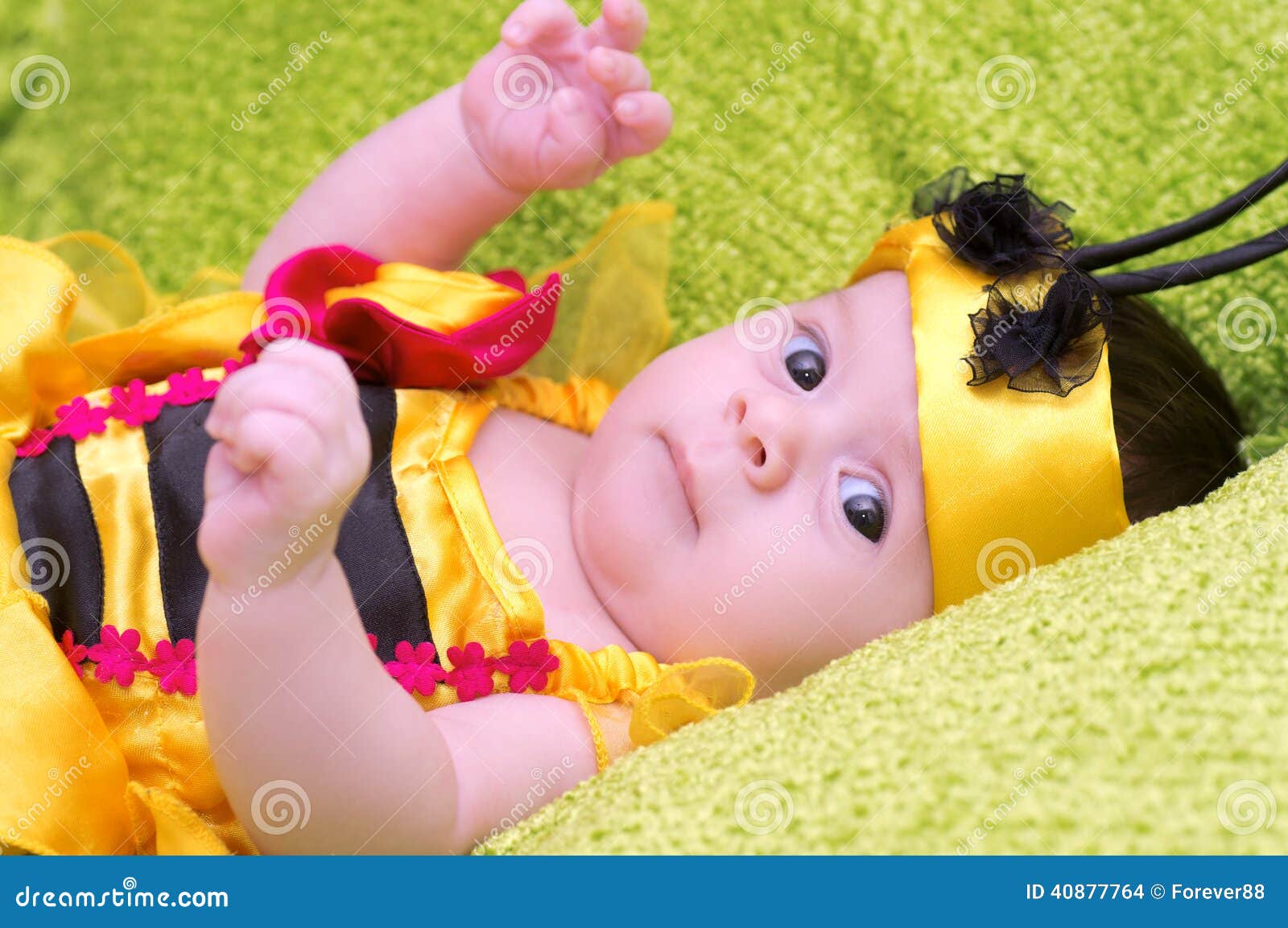 Honey Bee Baby stock photo. Image of honeycomb, insect - 40877764