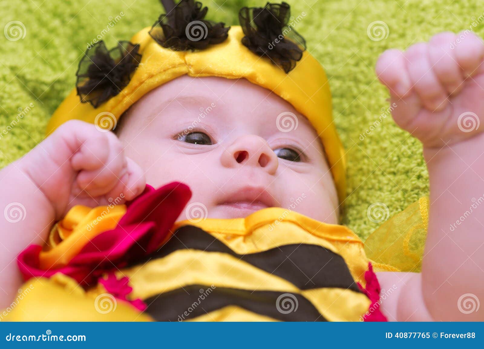 Honey Bee Baby stock image. Image of caucasian, girl - 40877765