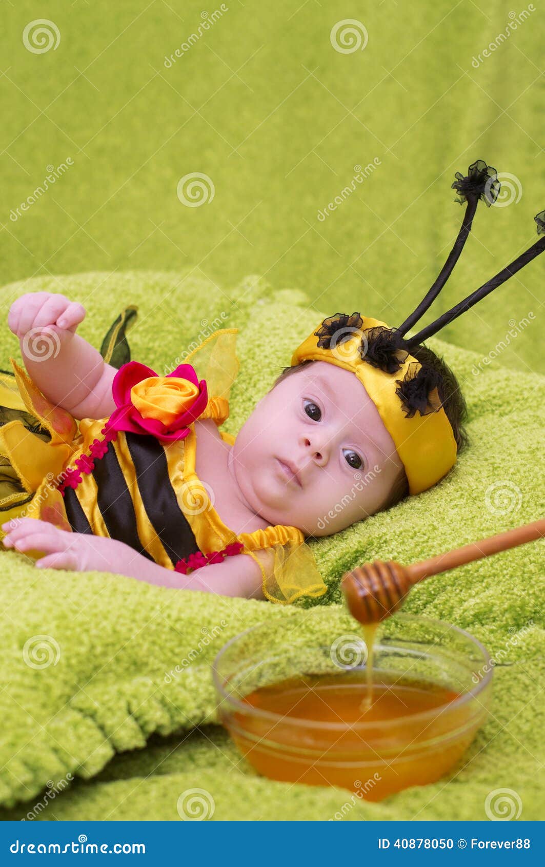 Honey Bee Baby stock photo. Image of bumblebee, cute - 40878050