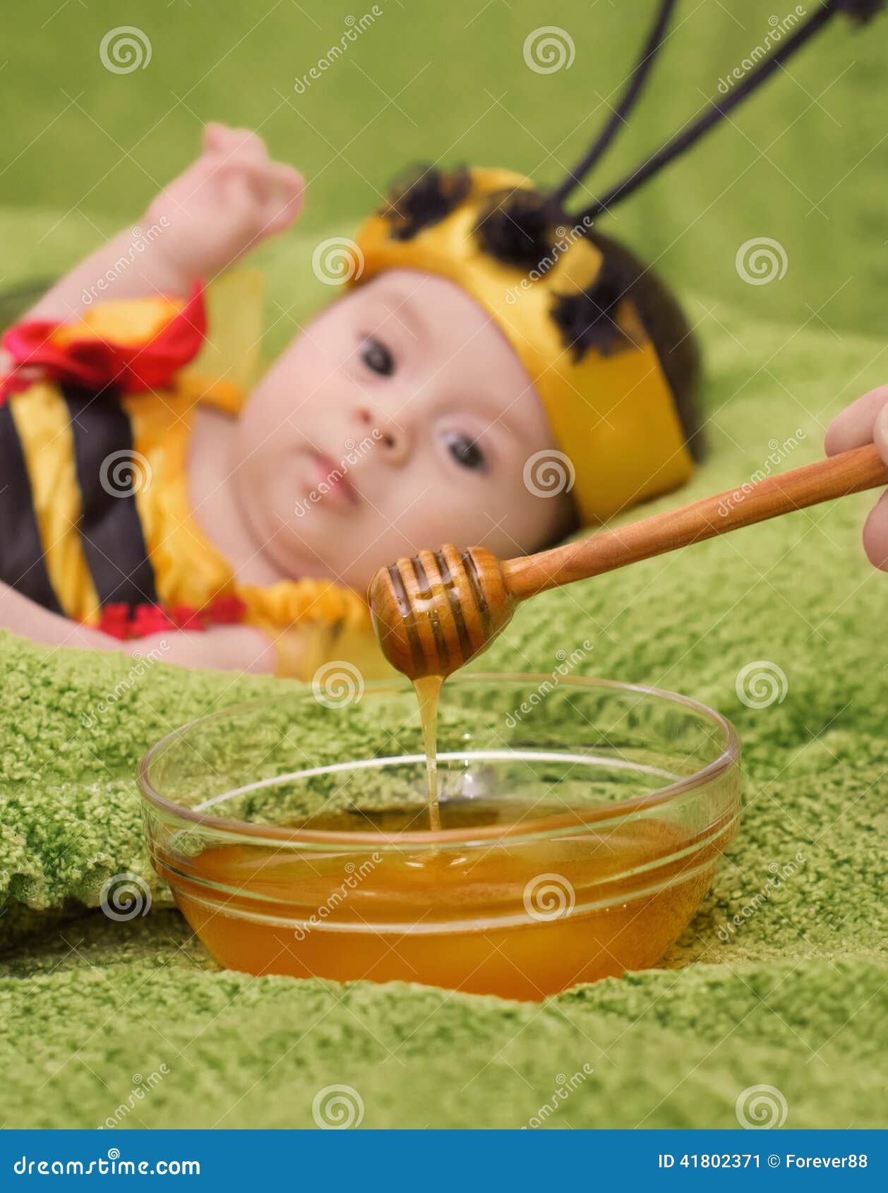Honey Bee Baby stock image. Image of innocent, abstract - 41802371