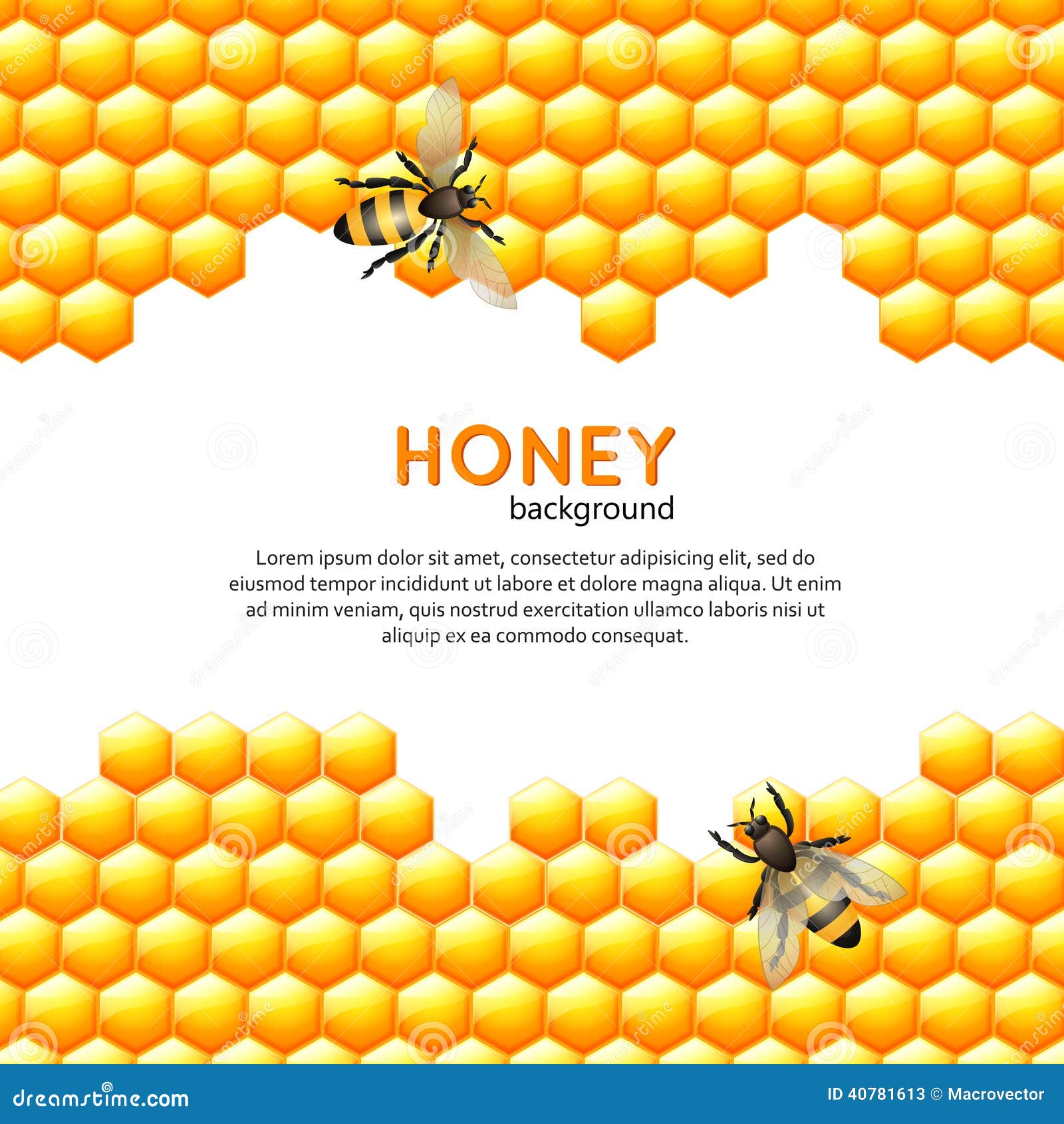 Honey Bee Background Cartoon Vector | CartoonDealer.com #40781613