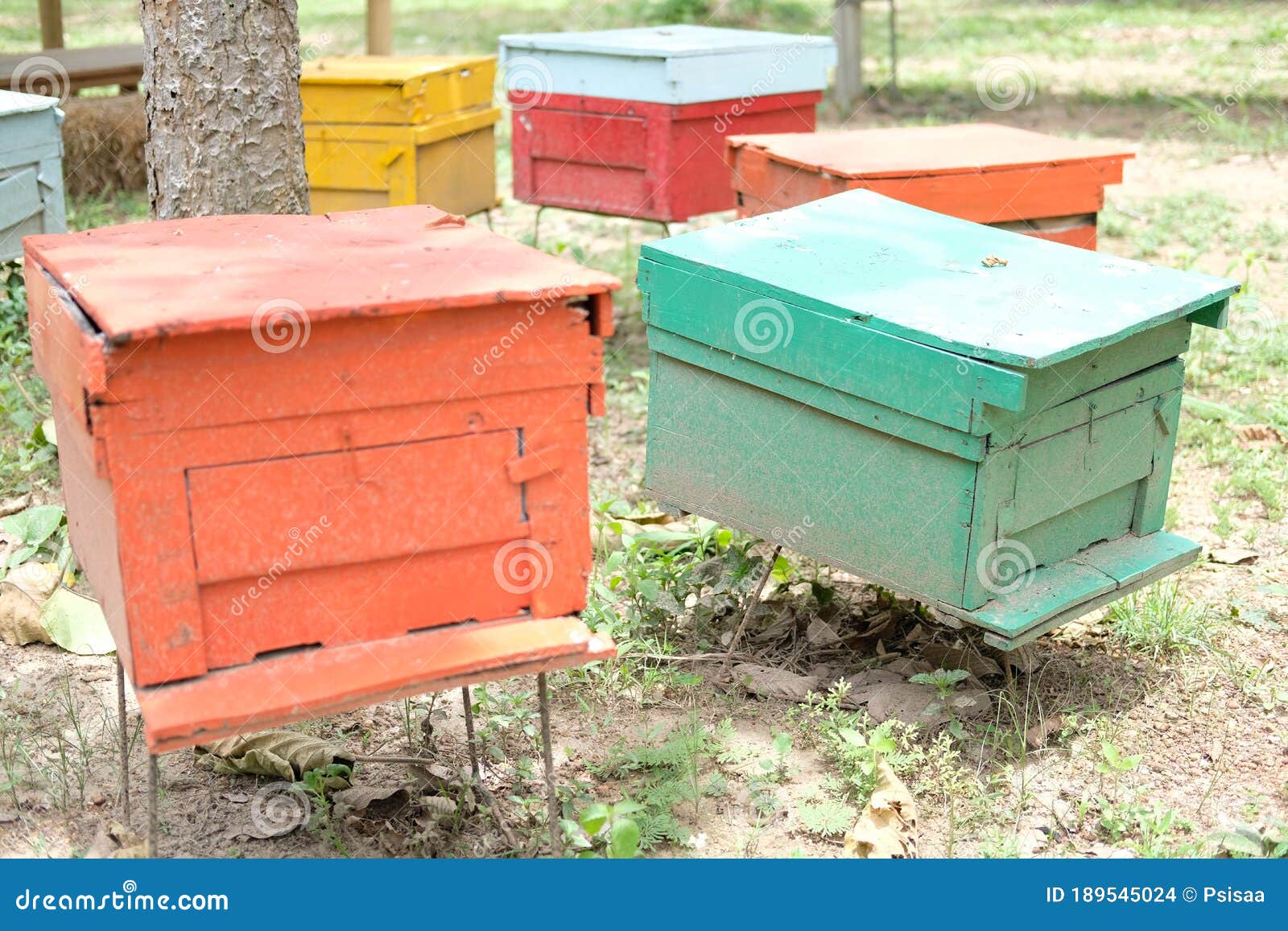 Honey Bee Beehive. Bees House Stock Photo - Image of outdoor, insect ...