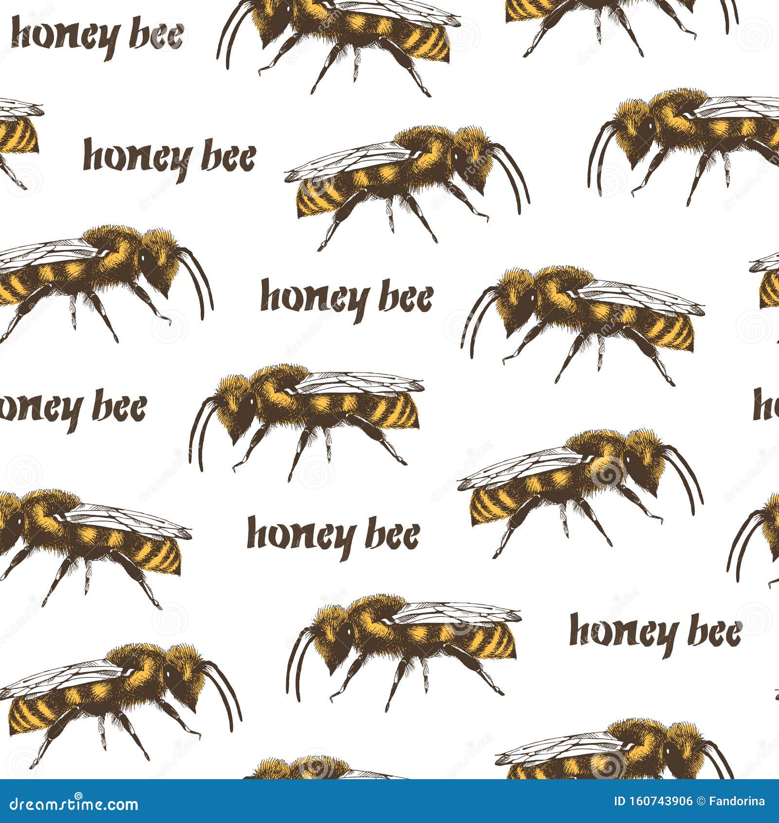 Honey Bee Color Vector Seamless Pattern in Engraving Style Stock Vector ...