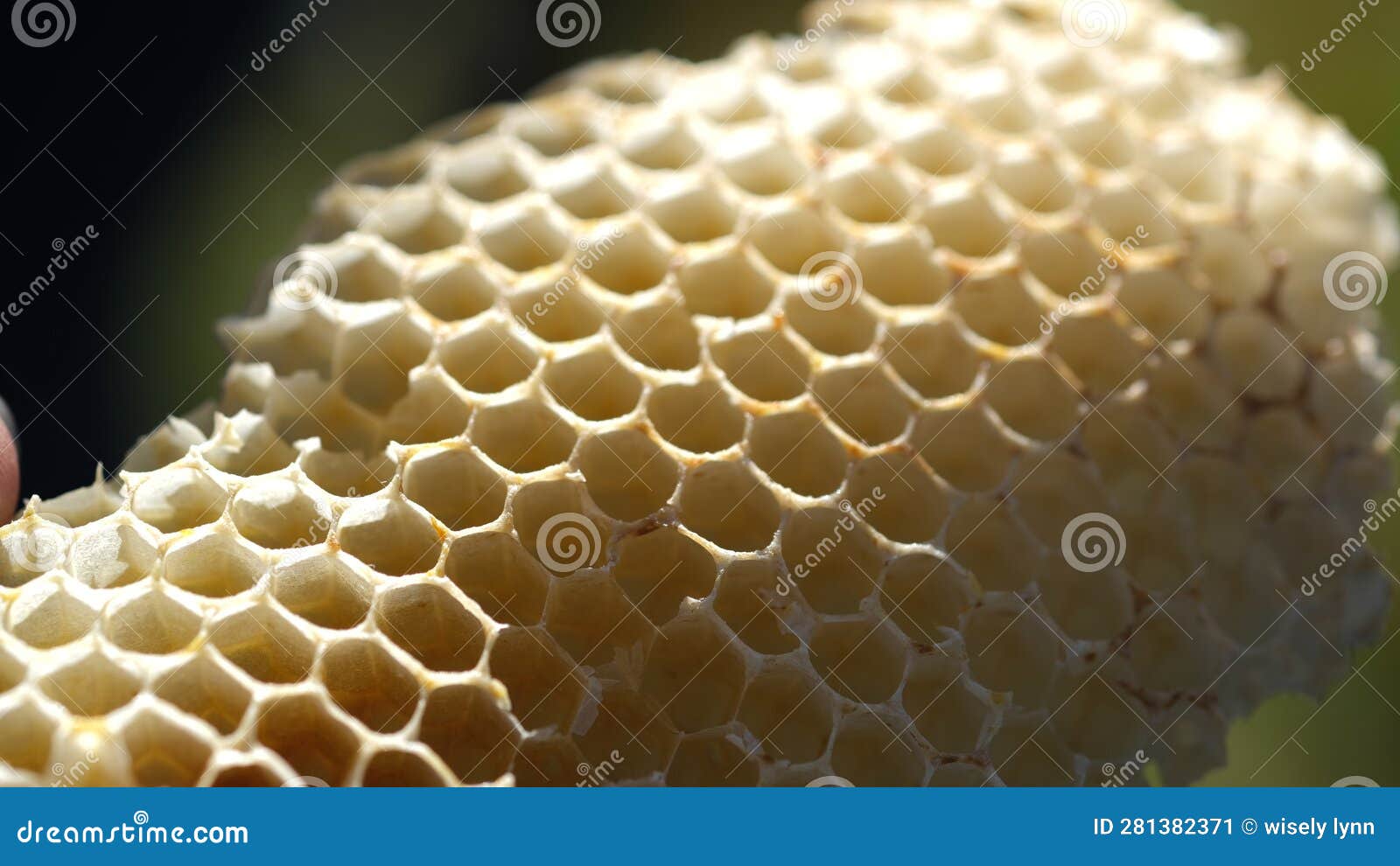 Honey Bee Comb with Hexagonal Pattern. Stock Image - Image of hexagonal ...