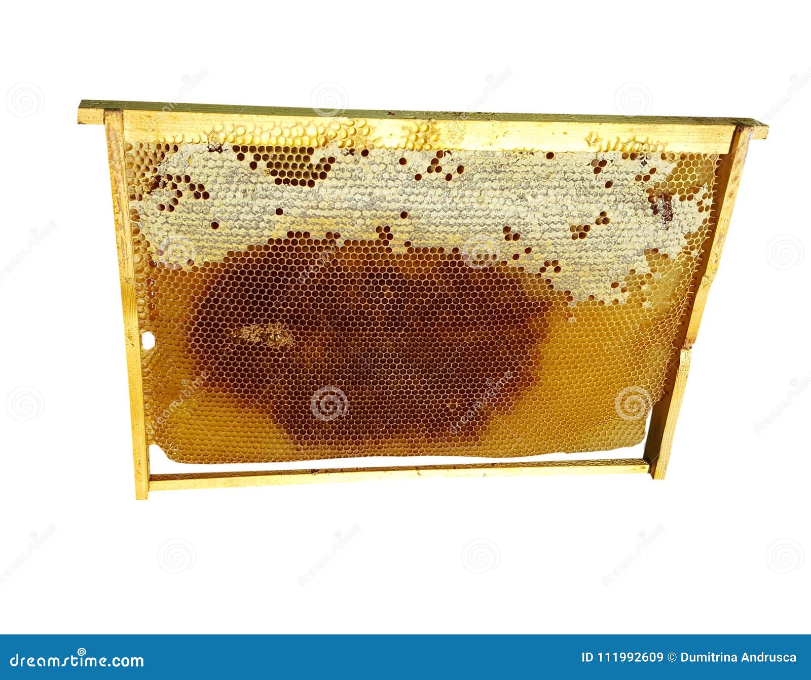 Honey bee frame stock image. Image of hexagon, comb - 111992609