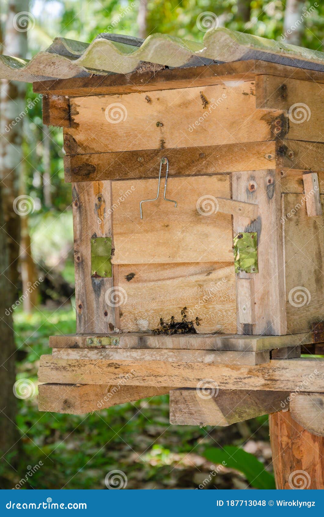 Apiary Made from Wooden Box for Horney Bee House in Tropical Natural Garden. Stock Photo - Image ...