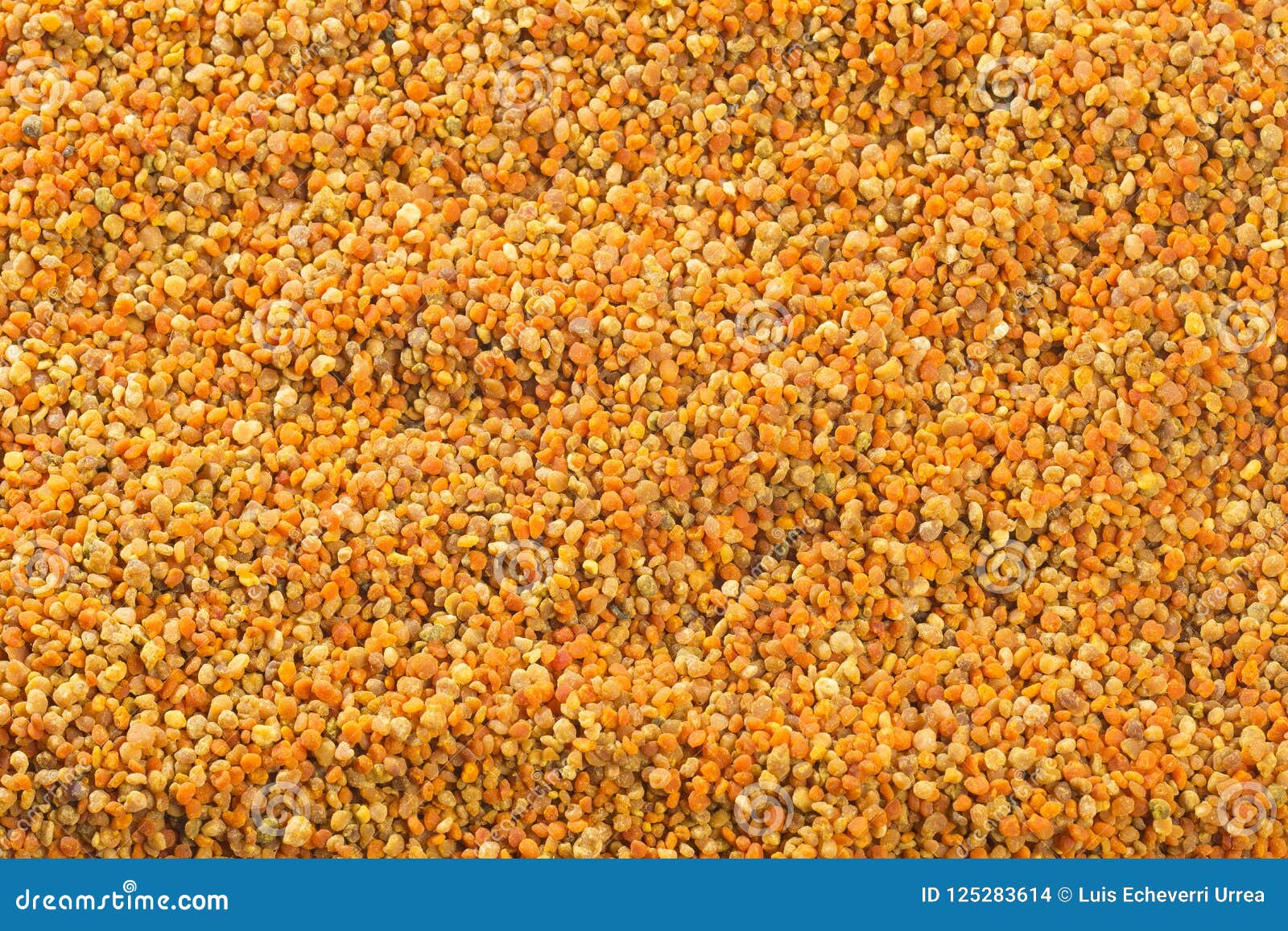 Honey Bee Pollen - Top View Stock Photo - Image of pile, background ...