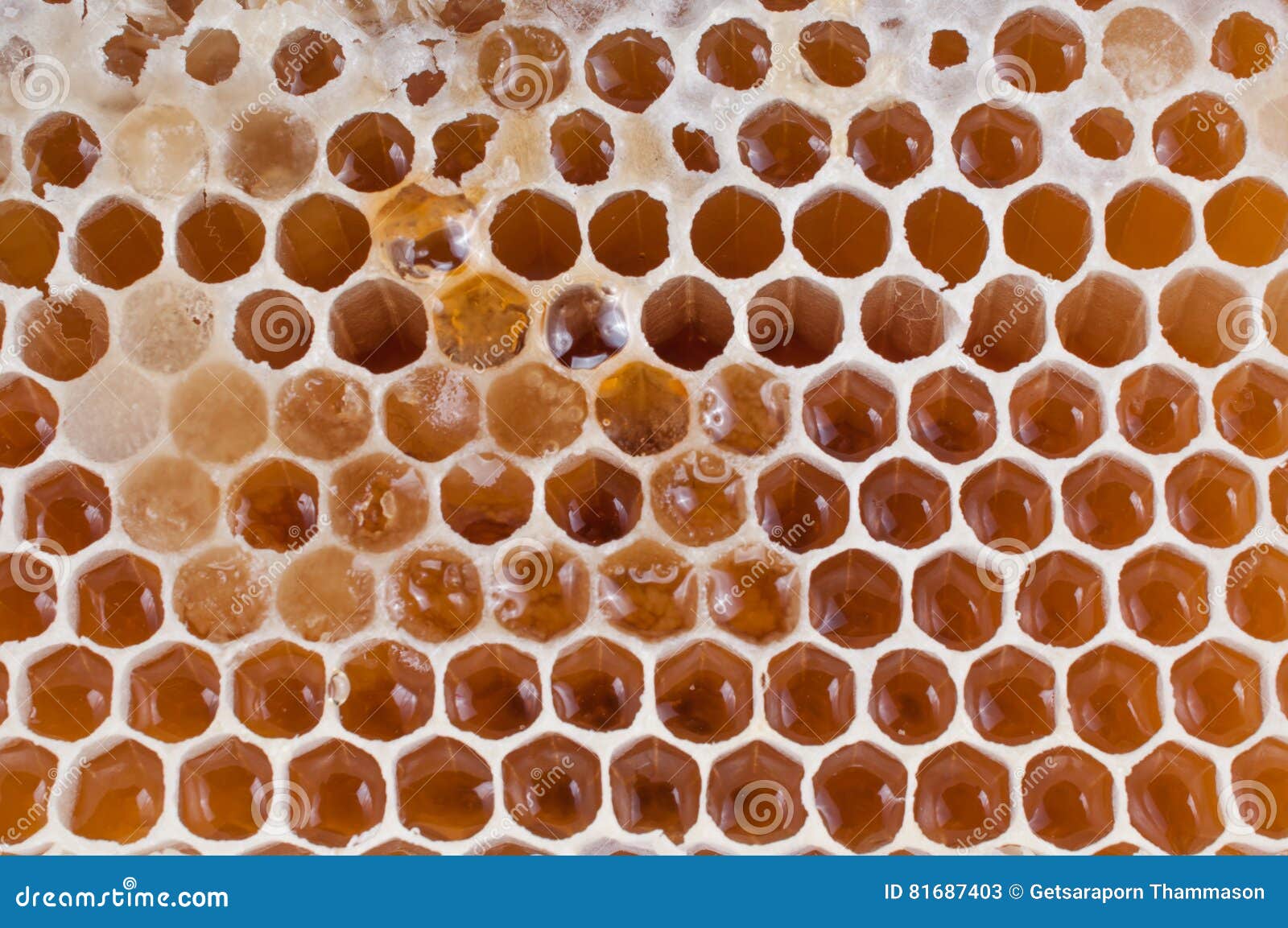 Honey Bee Texture for Background Stock Image - Image of organic, white ...