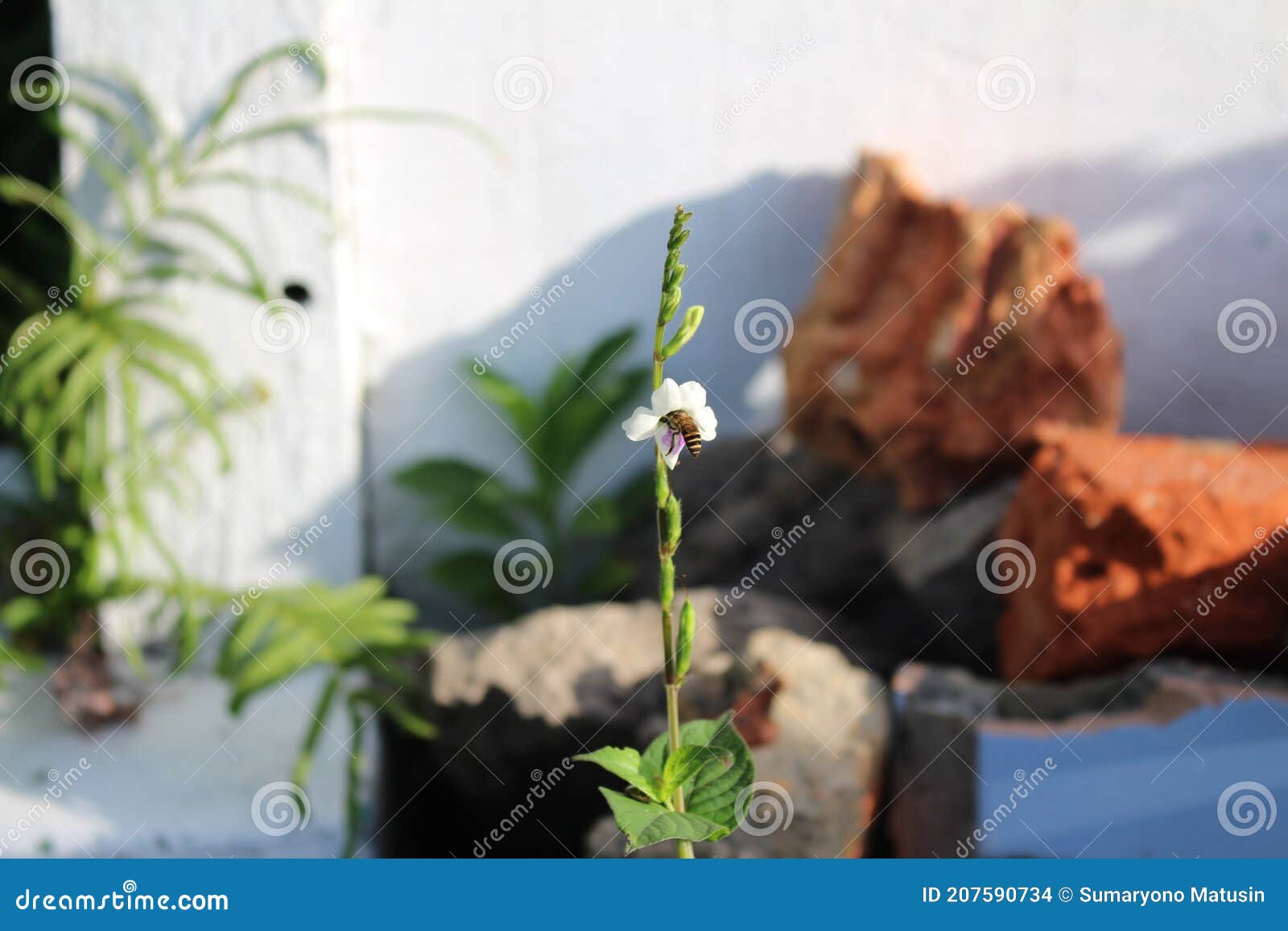 Troper Stock Photos - Free & Royalty-Free Stock Photos from Dreamstime