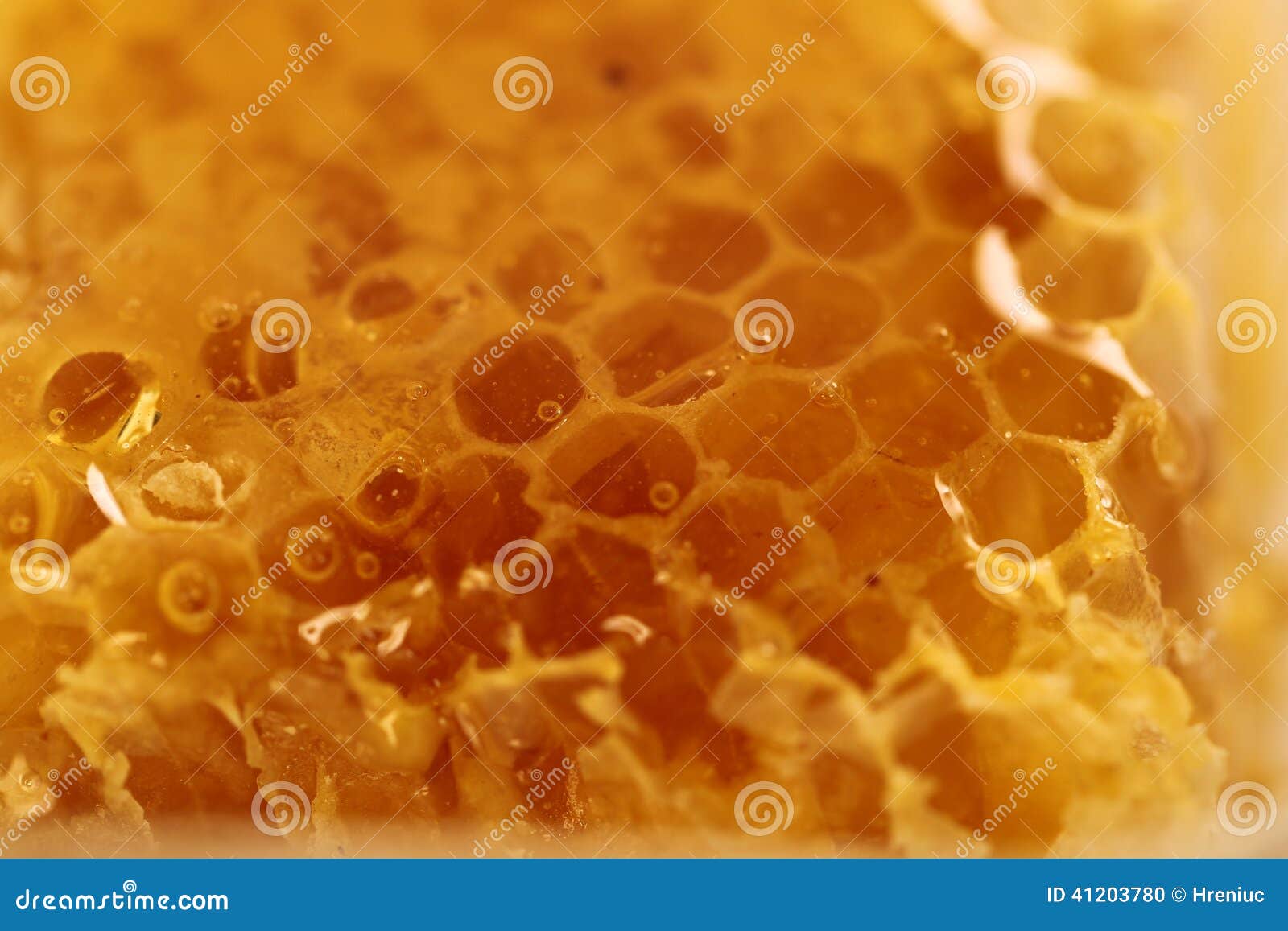 Honey beehive stock photo. Image of polygon, copy, abstract - 41203780