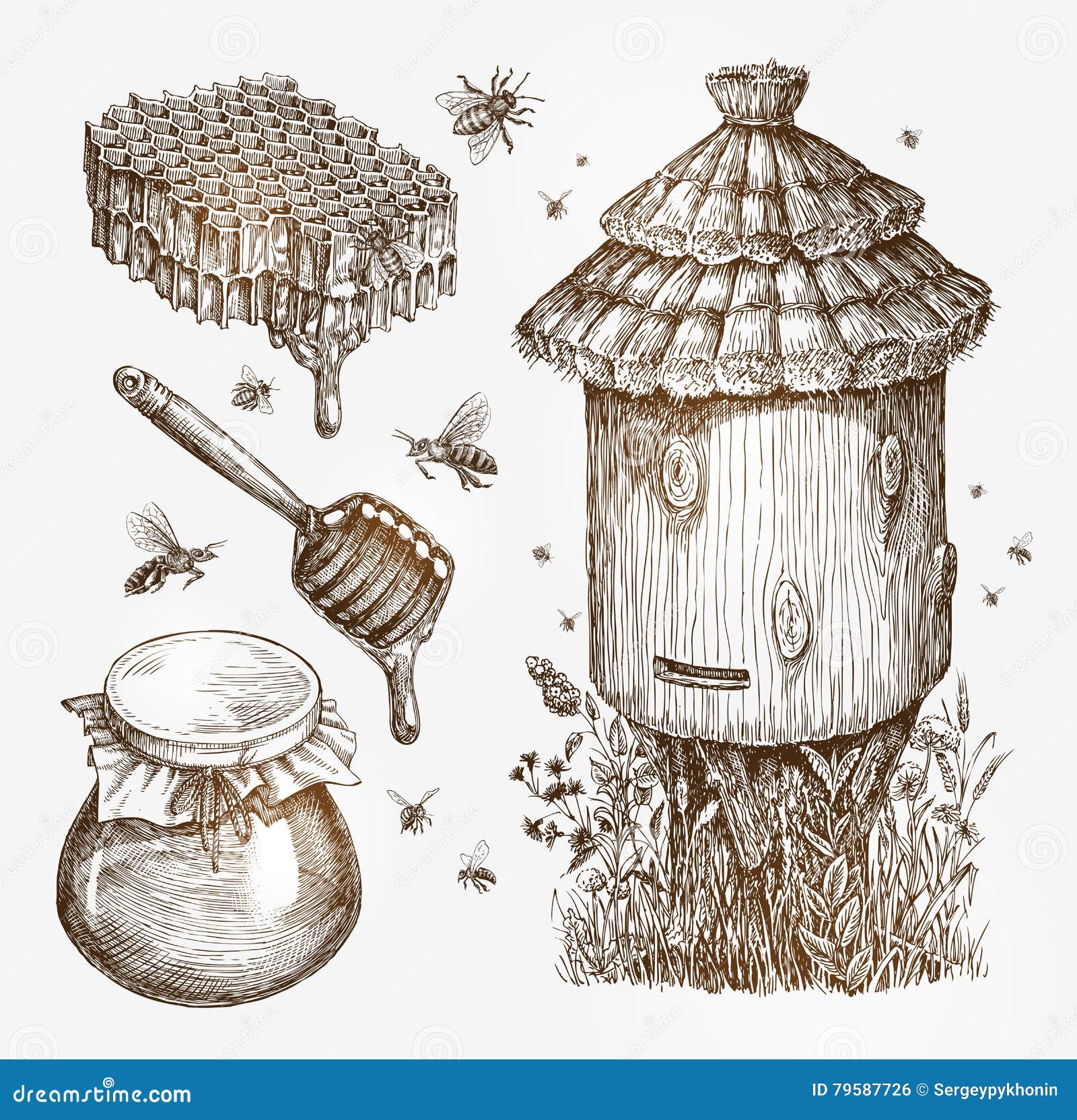 Honey, Beekeeping, Bees. Collection Vintage Sketch Vector Illustration ...