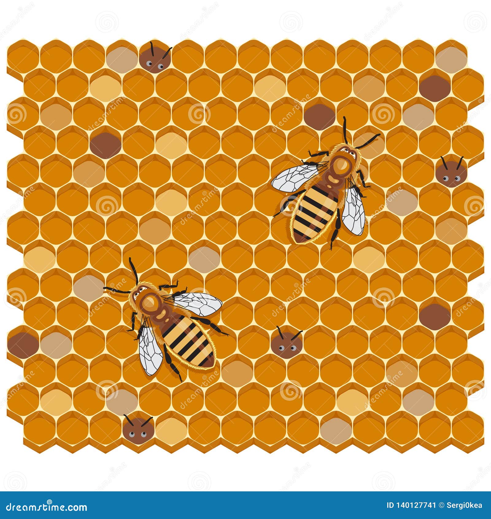 Honey Bees on Honeycomb, Vector Illustration Stock Vector ...