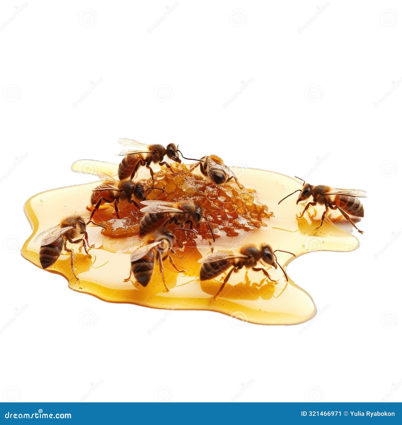 Honey bees on honey splash stock image. Image of bees - 321466971