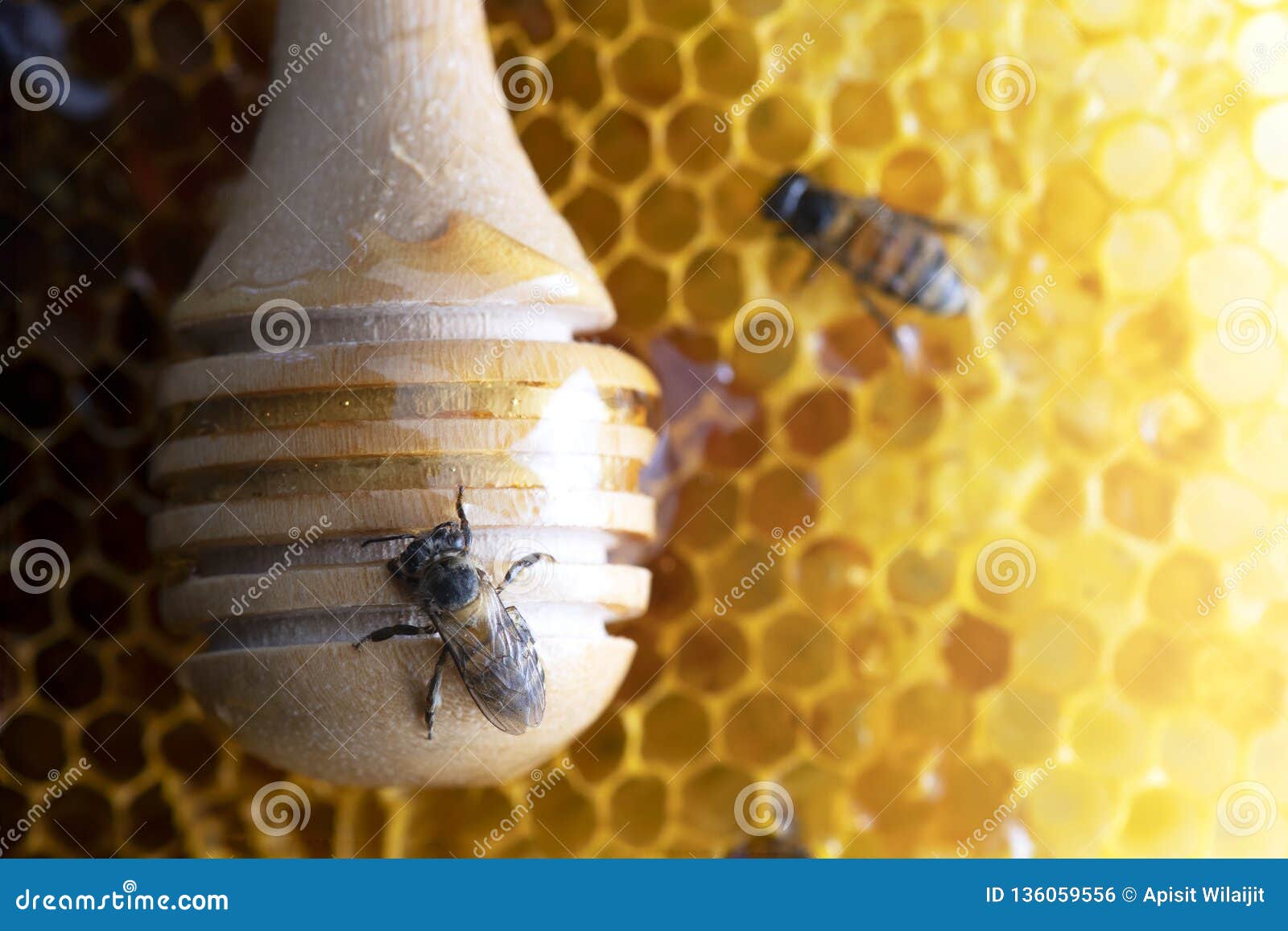 Honey Bees and Honey Stick on Beehive. Stock Photo - Image of beehive ...