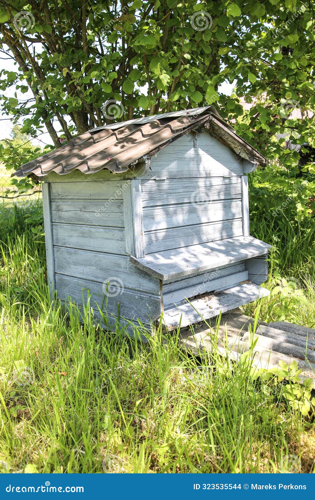 Honey Bees Swarming and Flying Around Their Beehive House Stock Photo ...