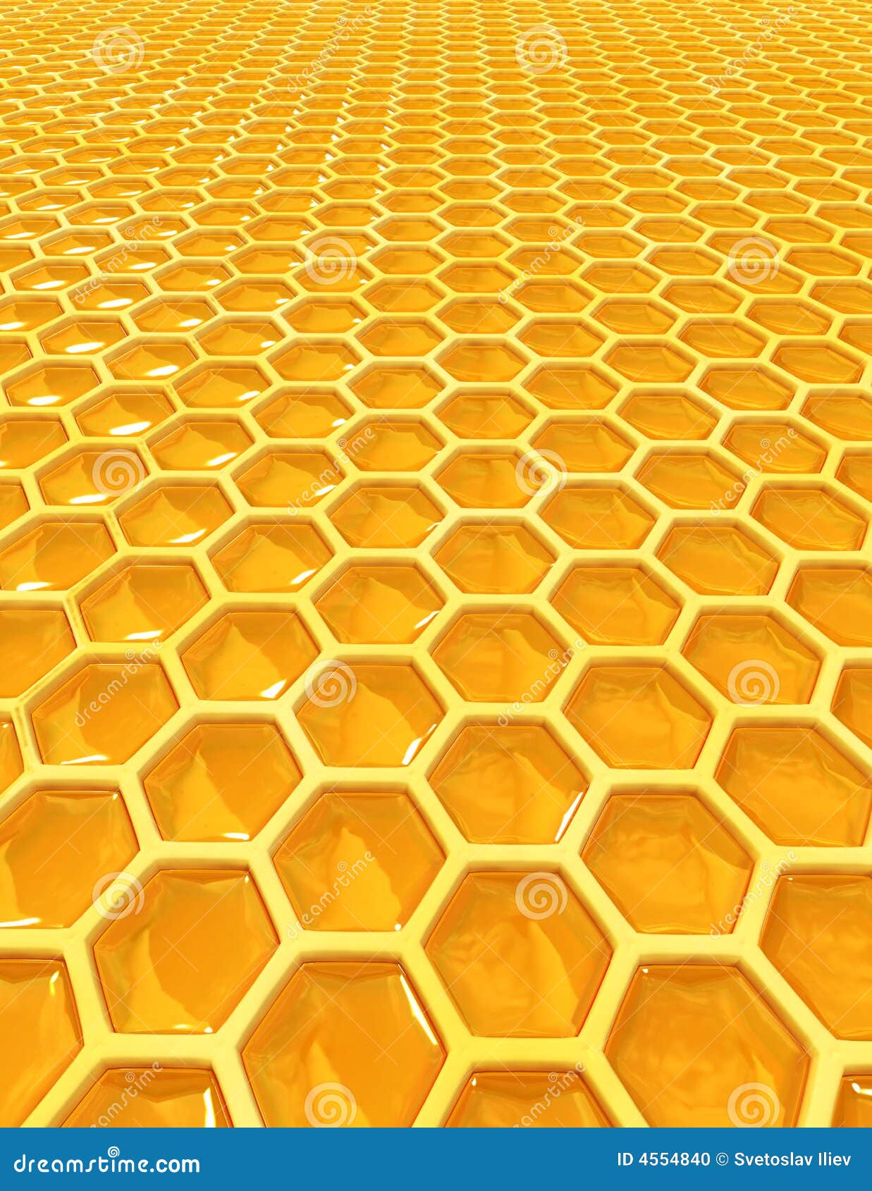 Honey cells stock photo. Image of food, honeycell, cell - 4554840