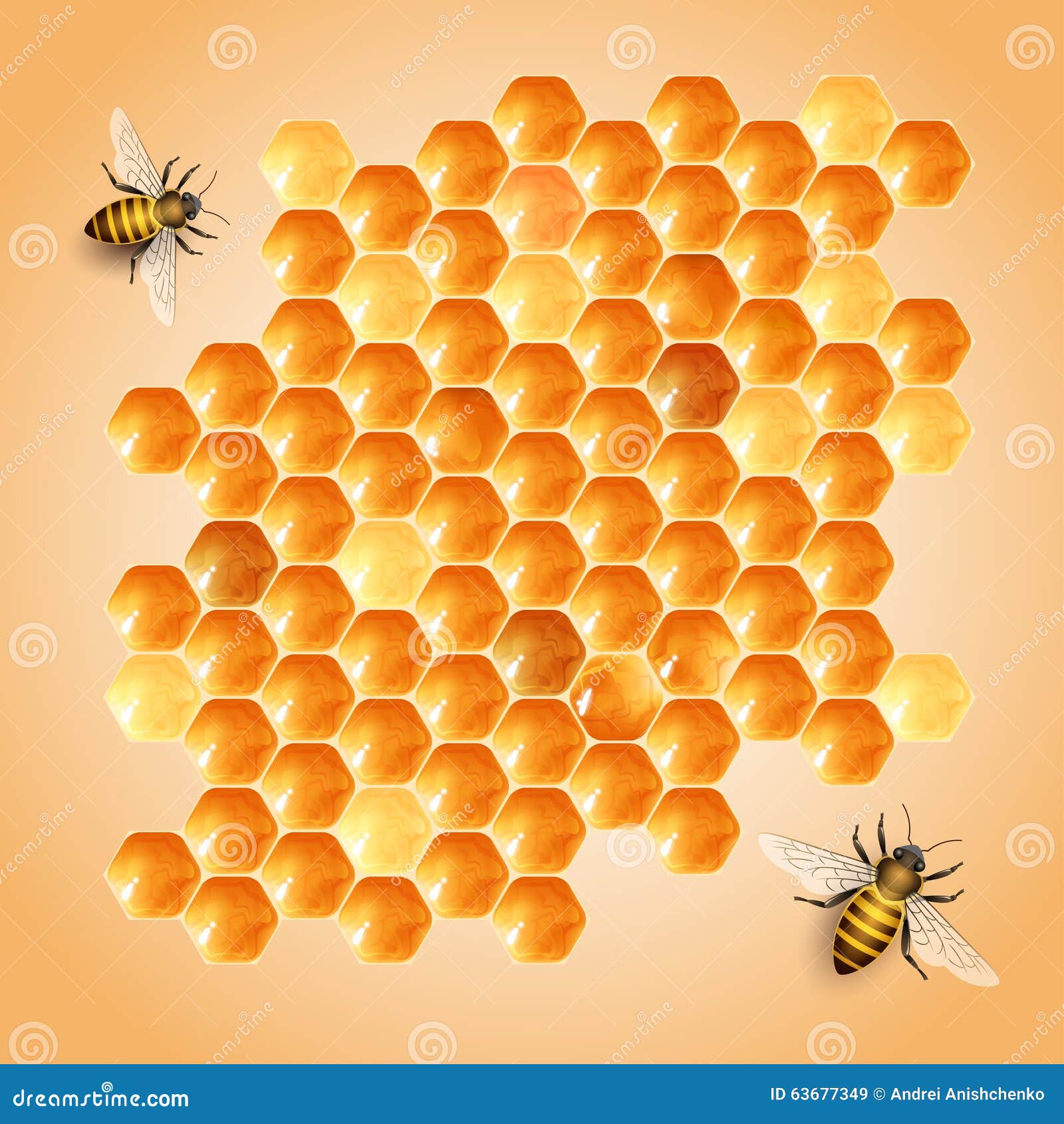 Honey cells stock vector. Illustration of design, mead - 63677349