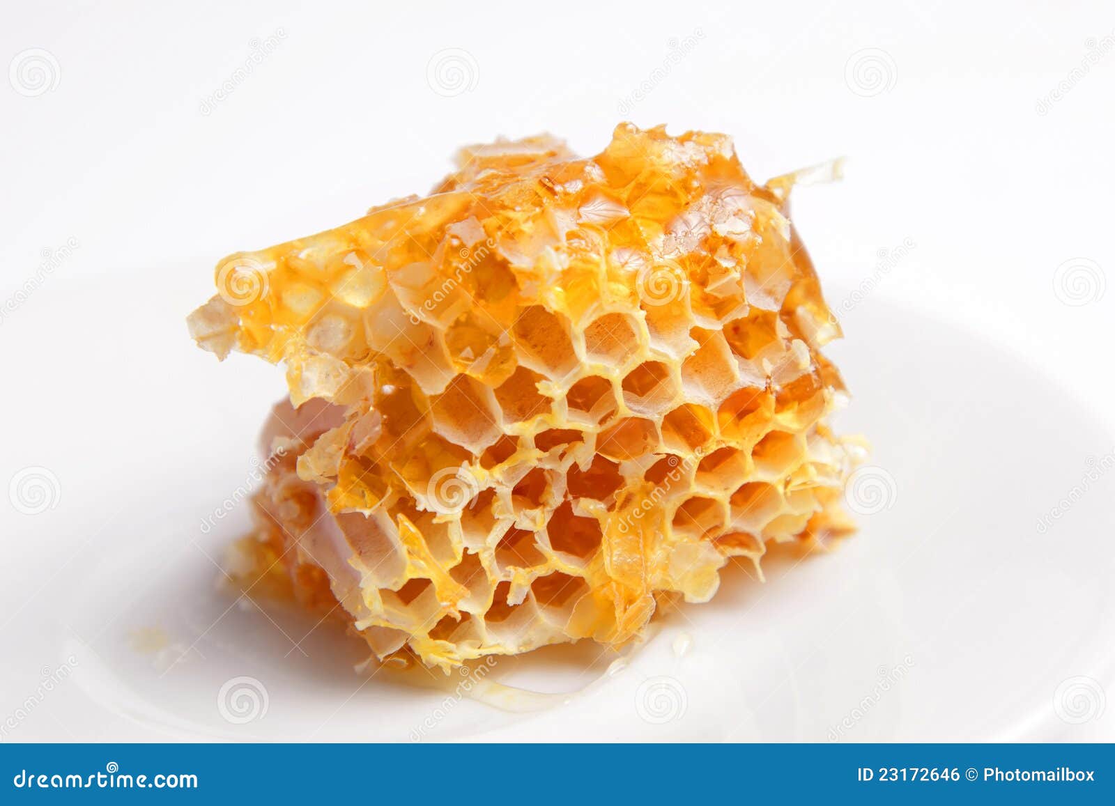 Honey comb stock photo. Image of large, macro, food, saturated - 23172646