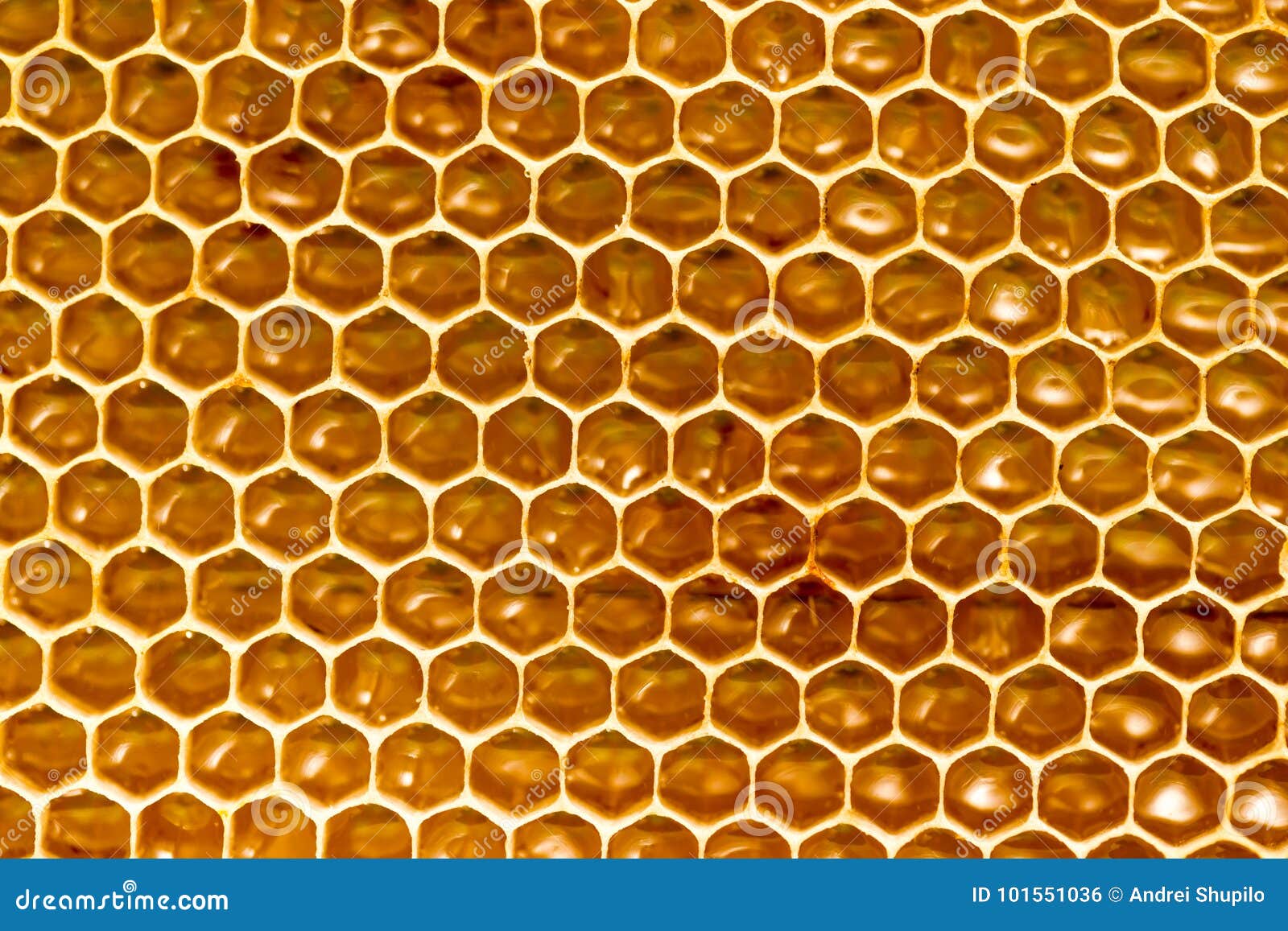 Honey Comb with Honey As a Background Stock Photo - Image of pattern ...