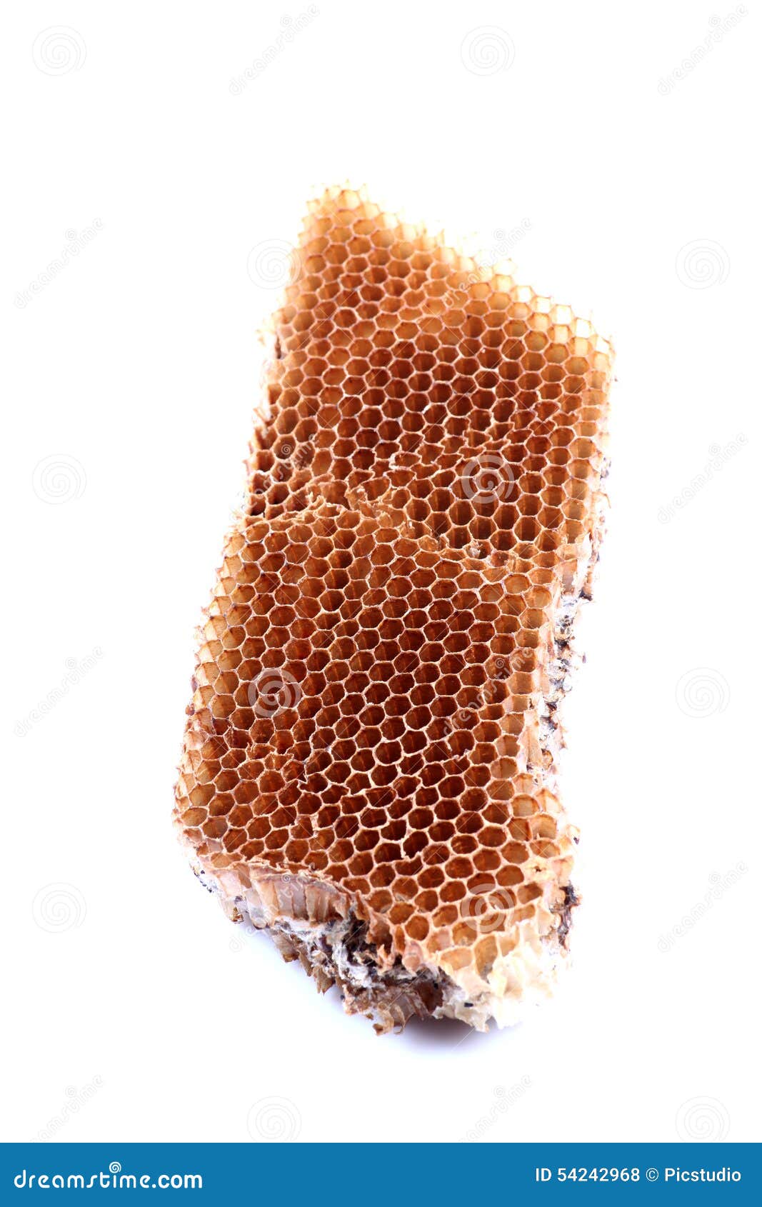 Honey comb stock photo. Image of comb, design, white - 54242968