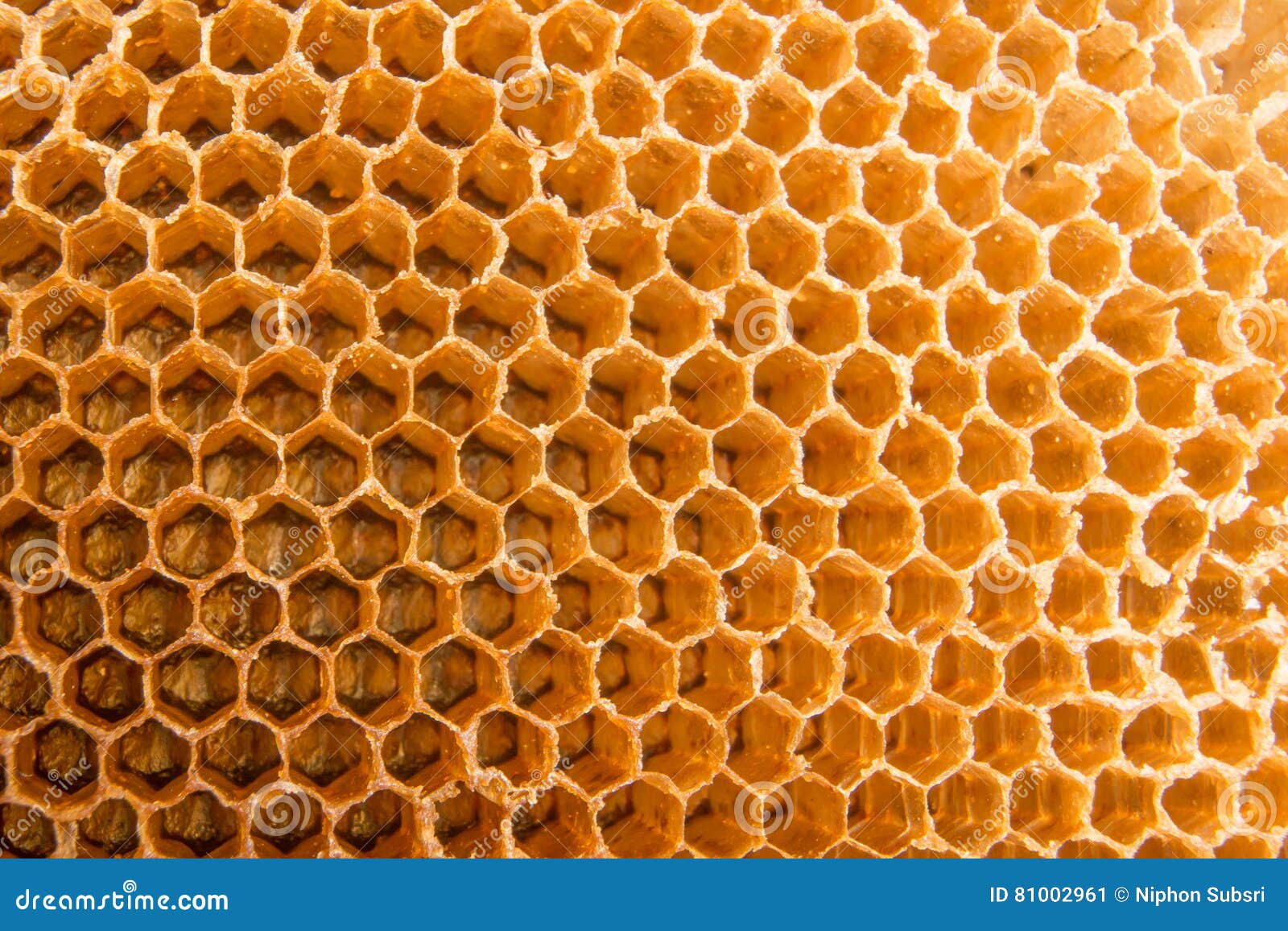 Honey comb bee home stock image. Image of background - 81002961