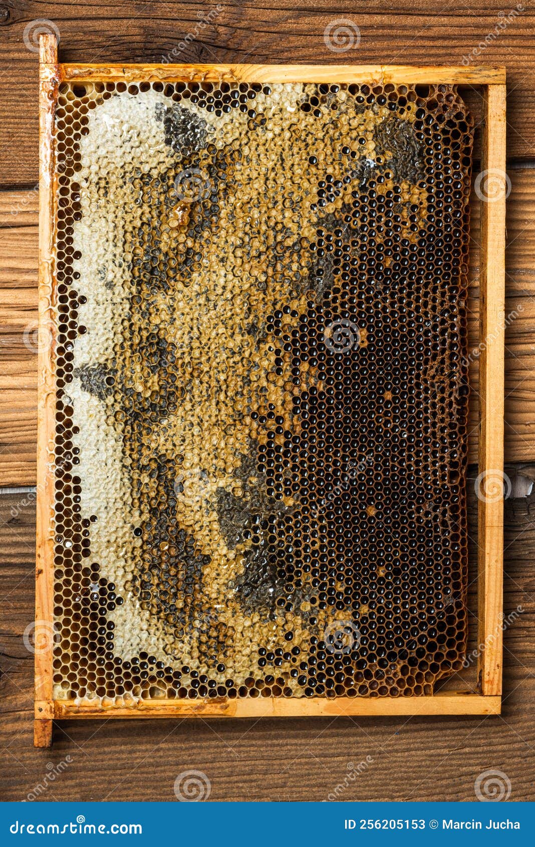 Honey Comb in Frame, Beekeeping Background Stock Image - Image of honey ...
