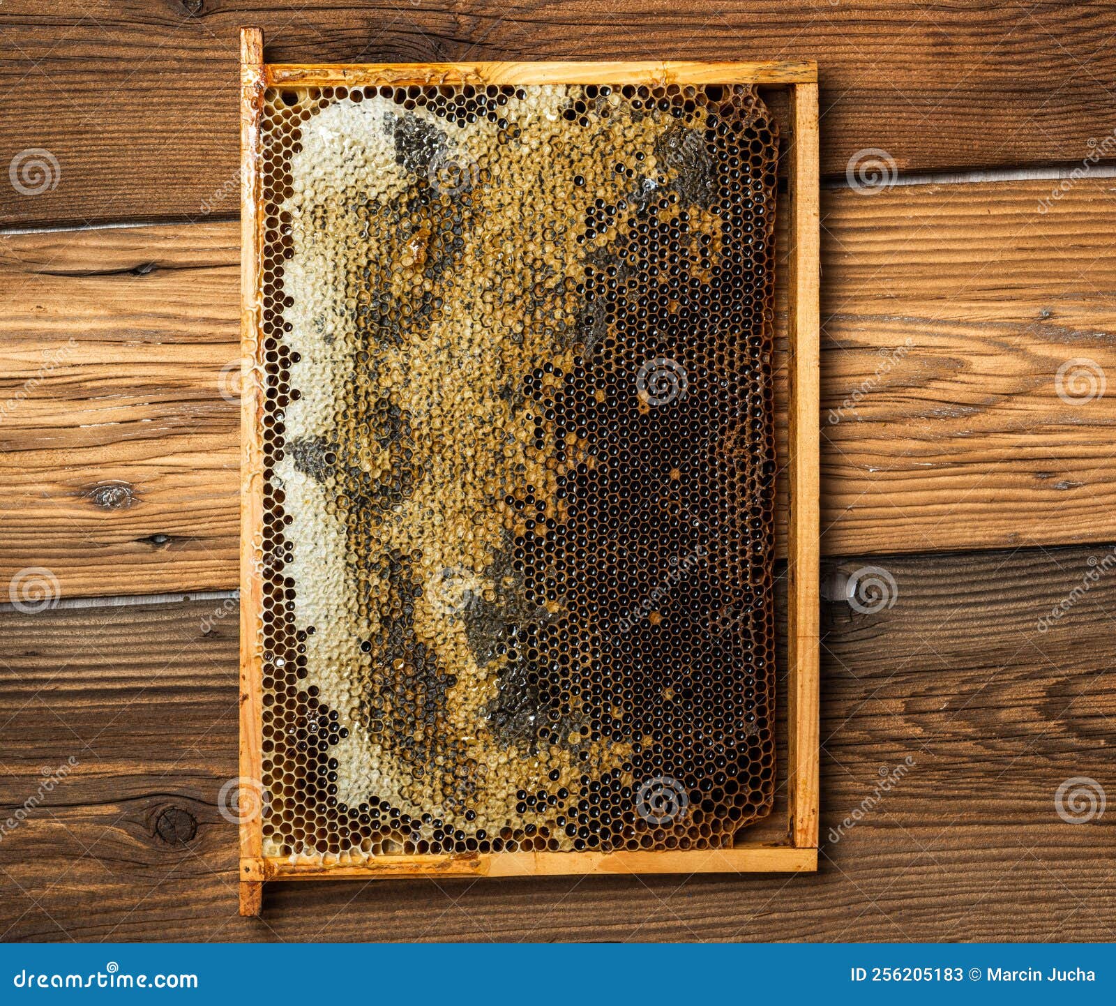 Honey Comb in Frame, Beekeeping Background Stock Image - Image of ...