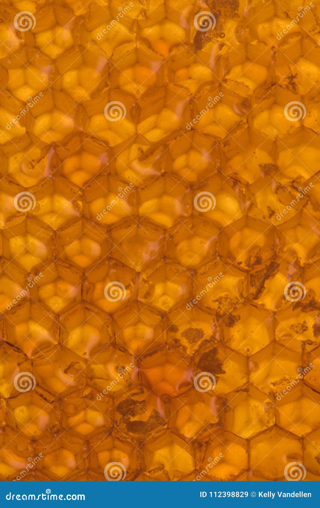 Honey Comb Hex Pattern stock image. Image of geometric - 112398829
