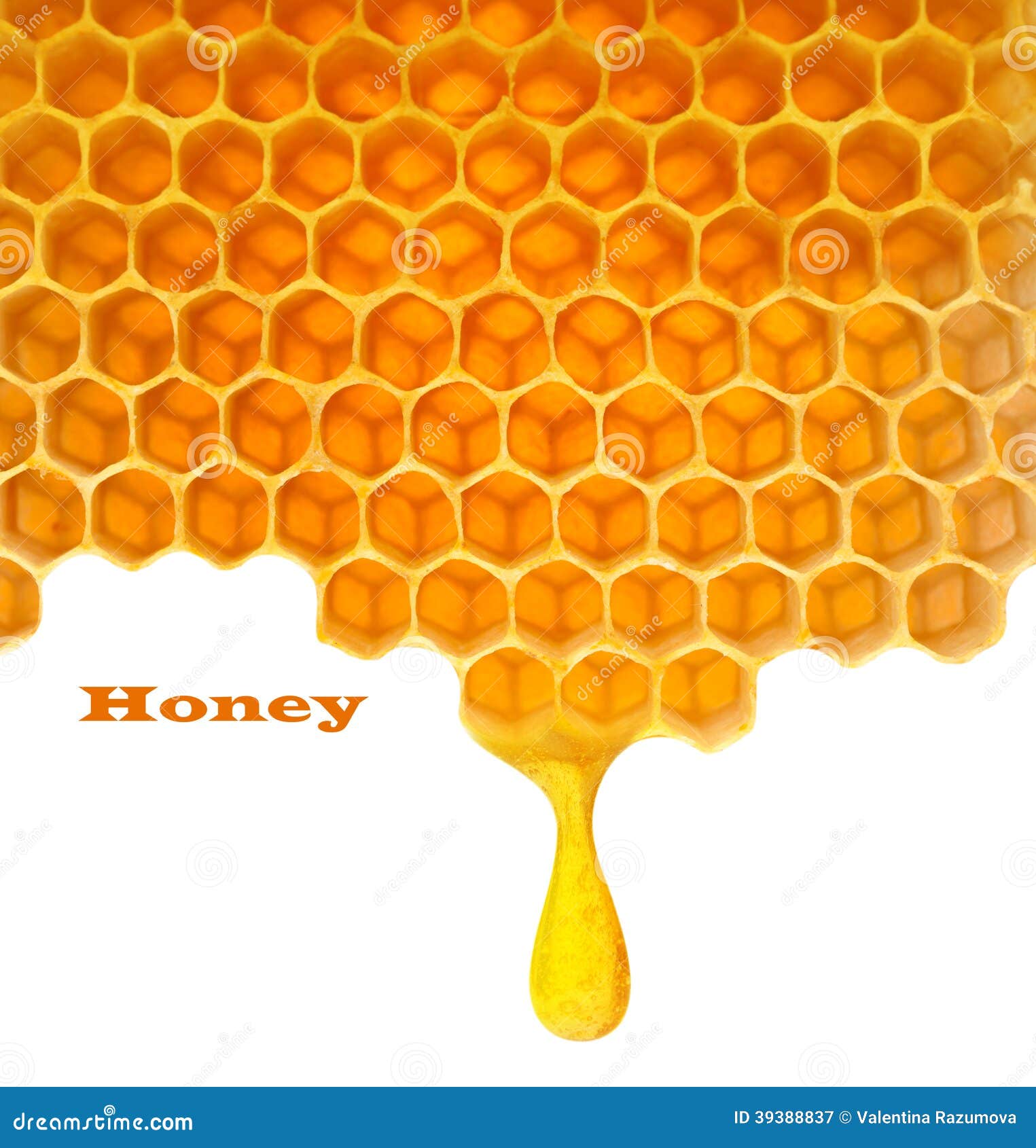 Dry Honey Bee Comb Royalty-Free Stock Photography | CartoonDealer.com ...