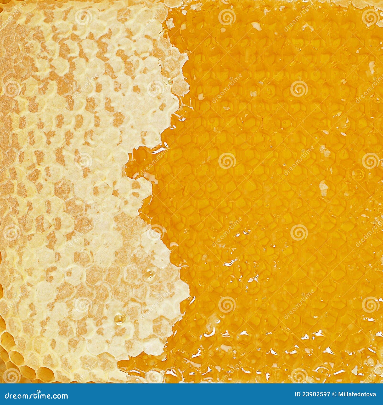 Honey comb texture stock image. Image of natural, golden - 23902597