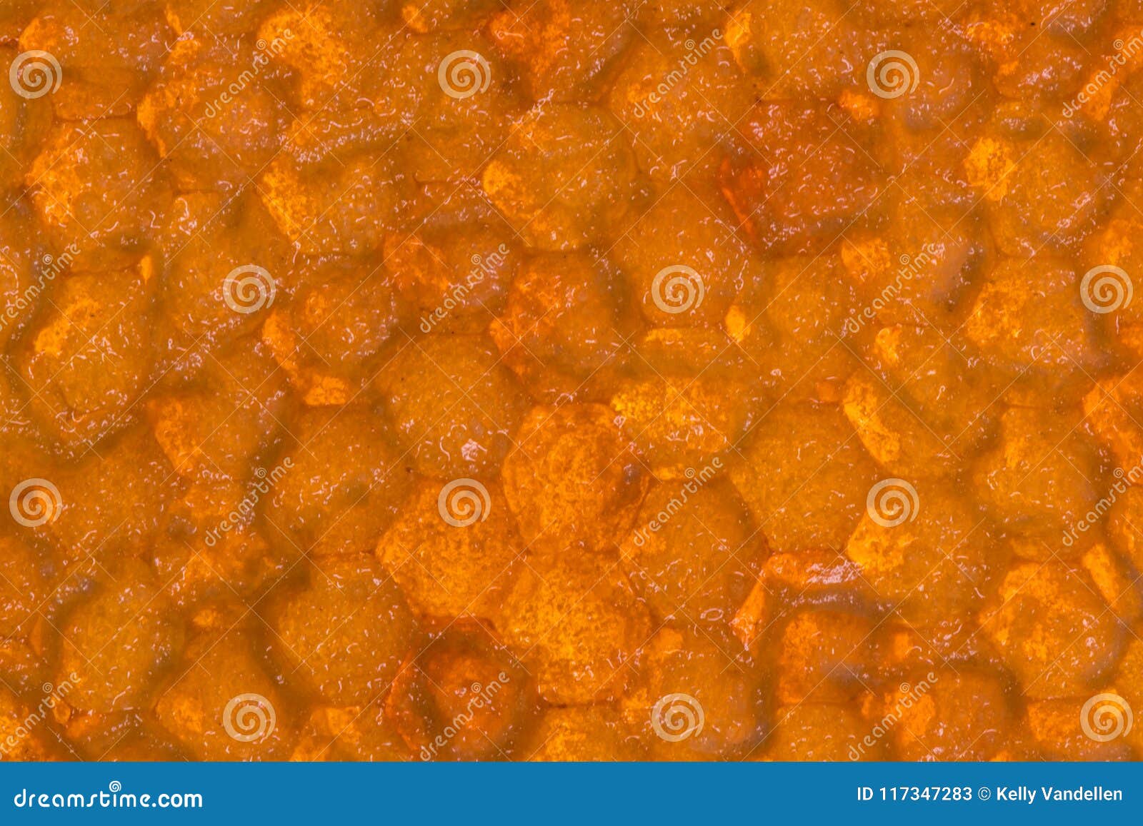 Honey Comb with Wax Cap stock image. Image of kitchen - 117347283