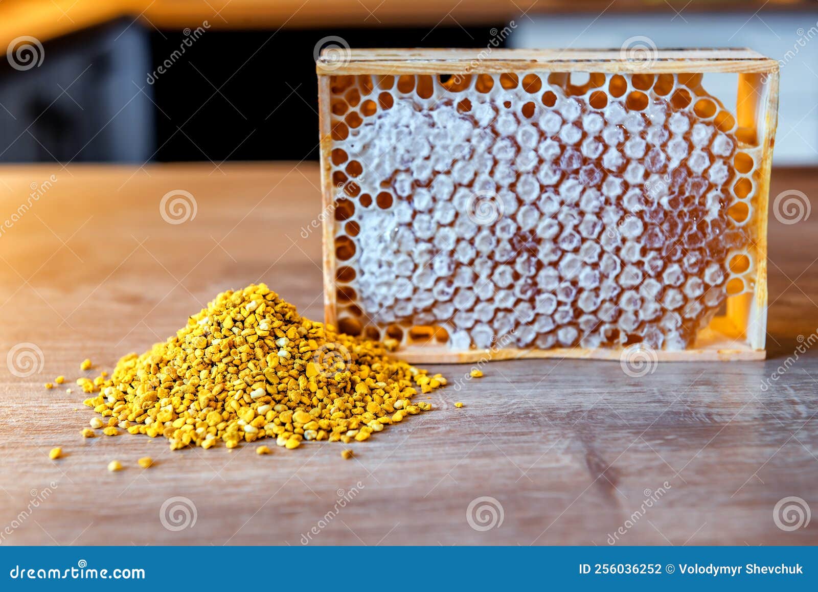 Honey Combs and Yellow Pollen Stock Photo - Image of cell, beeswax ...