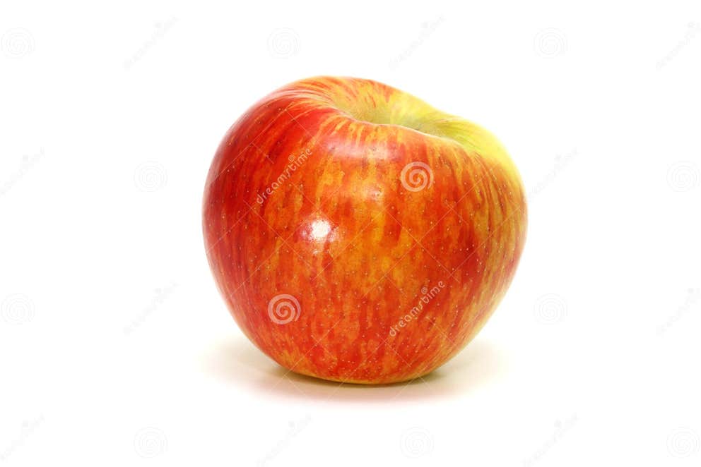 Honey Crisp Apple stock image. Image of juice, crunchy - 7718225