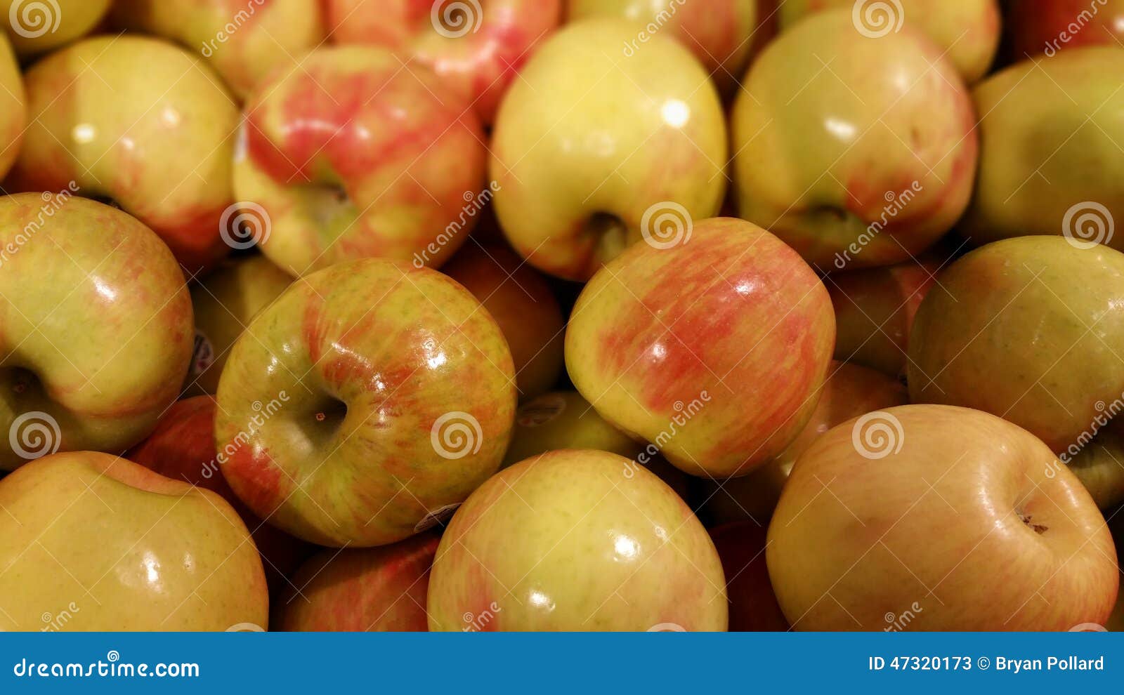 Honey Crisp Apples stock image. Image of market, agriculture - 47320173