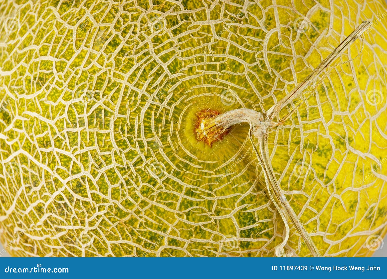 Melon Texture Royalty-Free Stock Photo | CartoonDealer.com #42473247