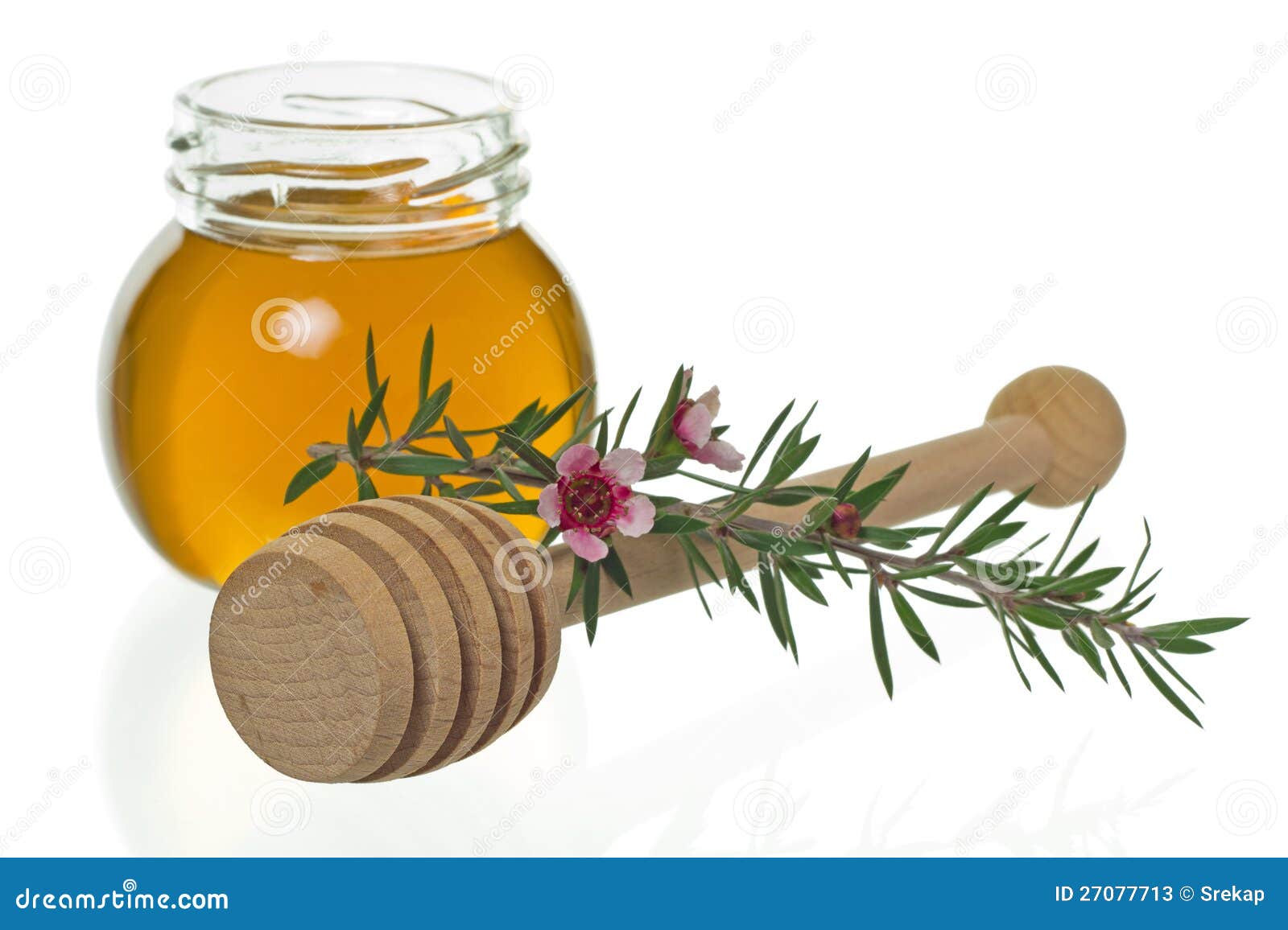 Honey with Dipper and Manuka Flower (Leptospermum) Stock Image - Image ...