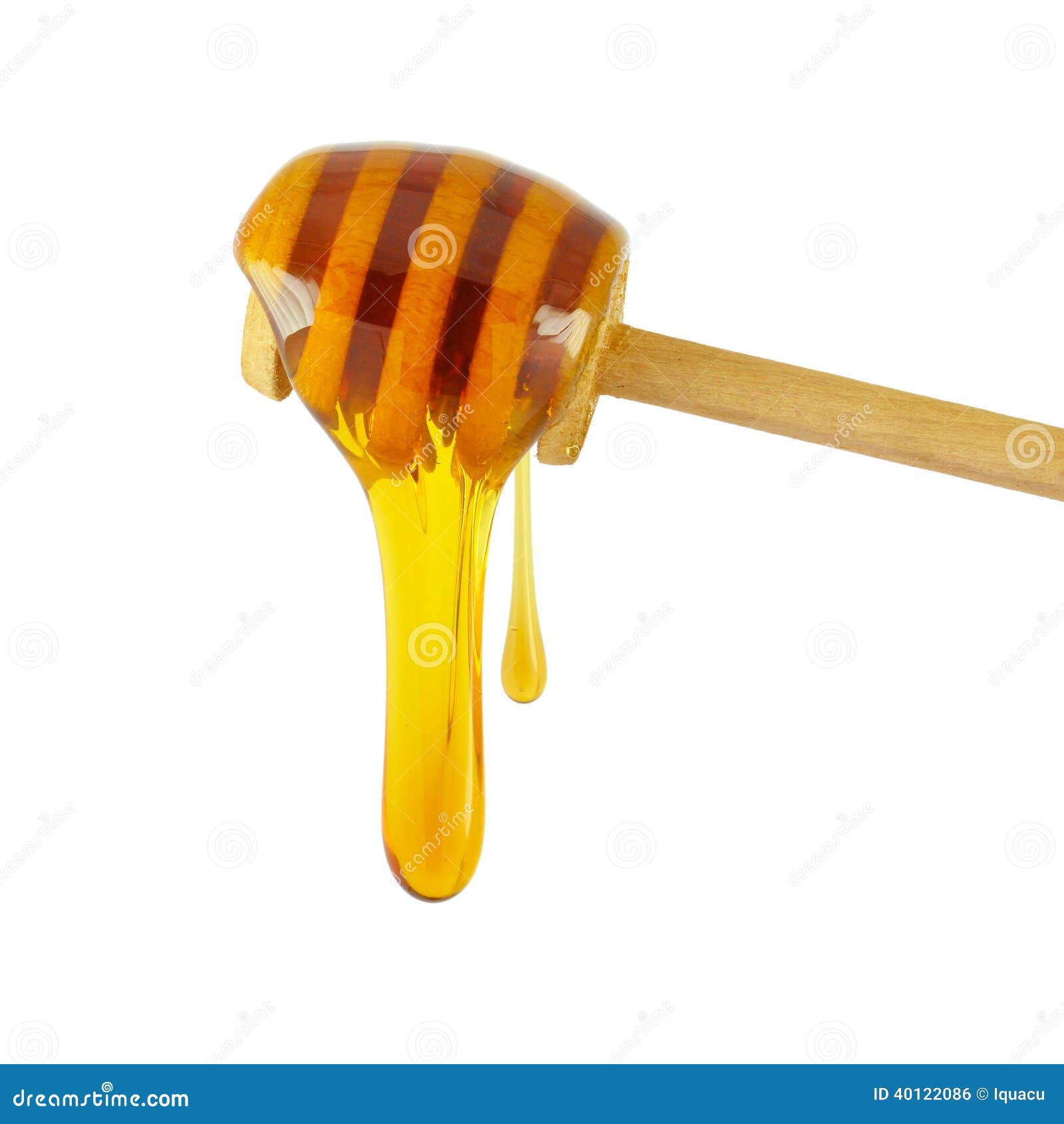 Honey stock photo. Image of dripping, honey, drop, eating - 40122086