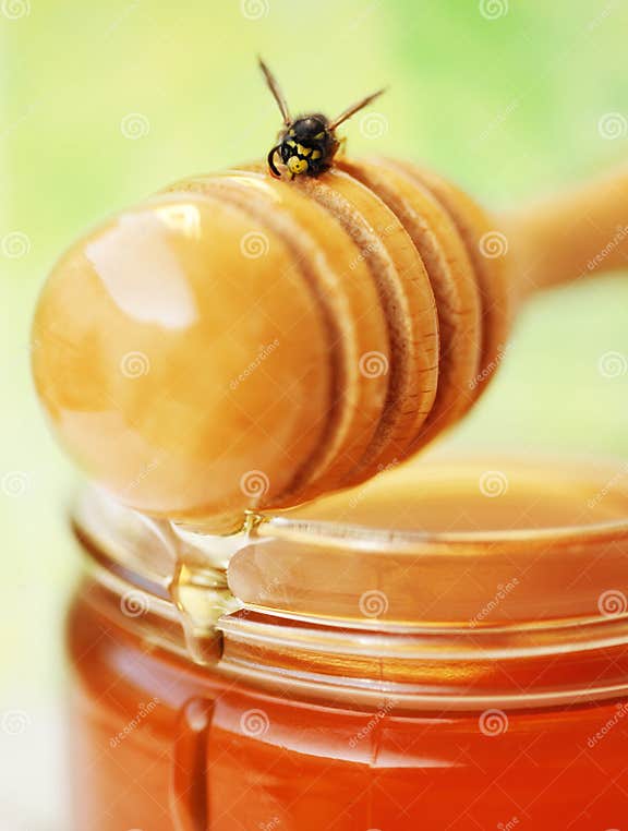 Honey drizzler with bee stock image. Image of sweet, flowing - 21690099