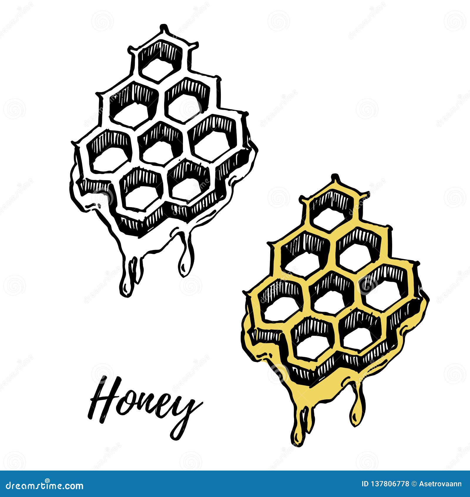Honey Elements Illustrations. Vector Hand Drawn Illustrations Isolated ...