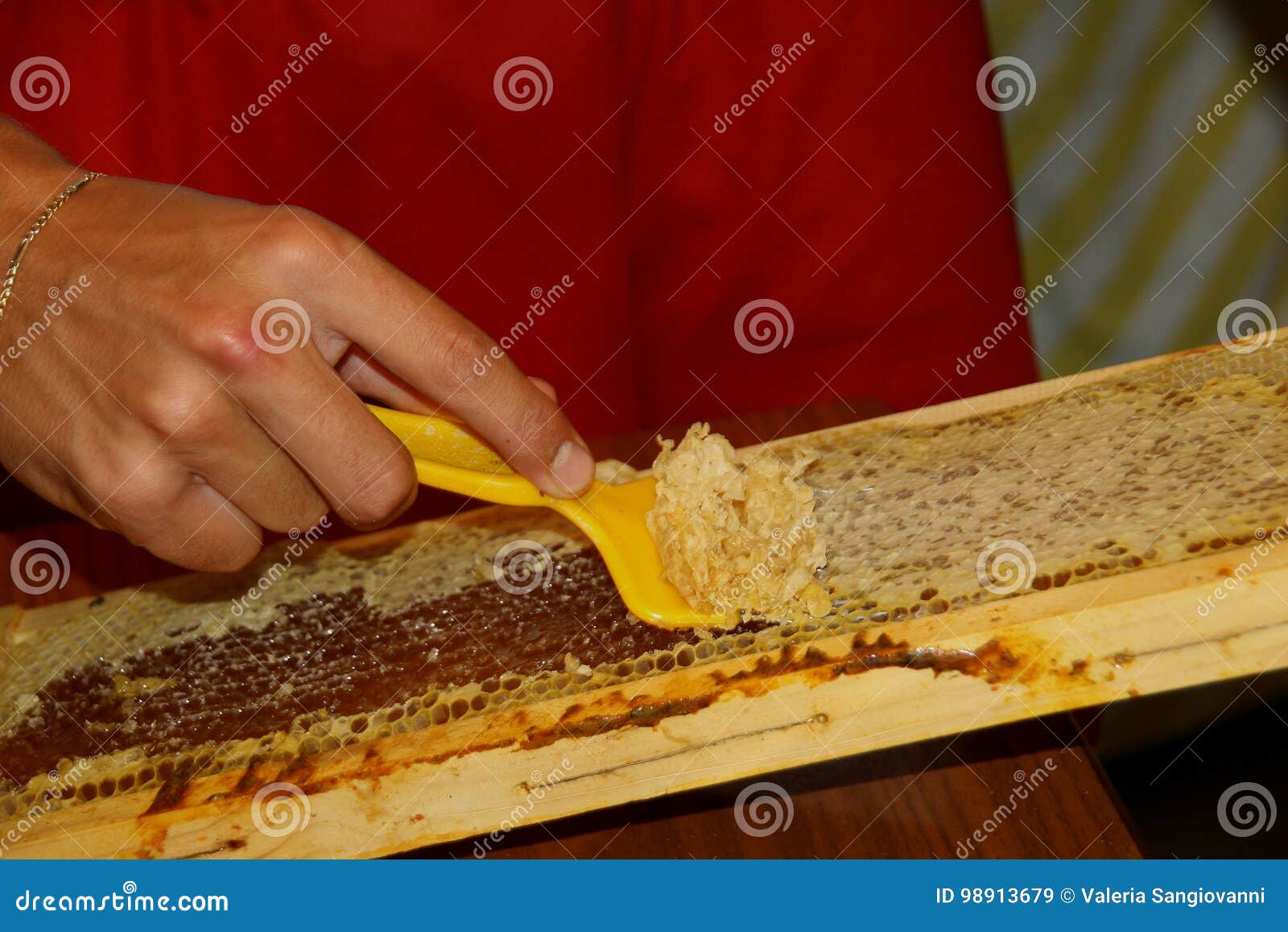 Honey extraction stock image. Image of collection, nature - 98913679