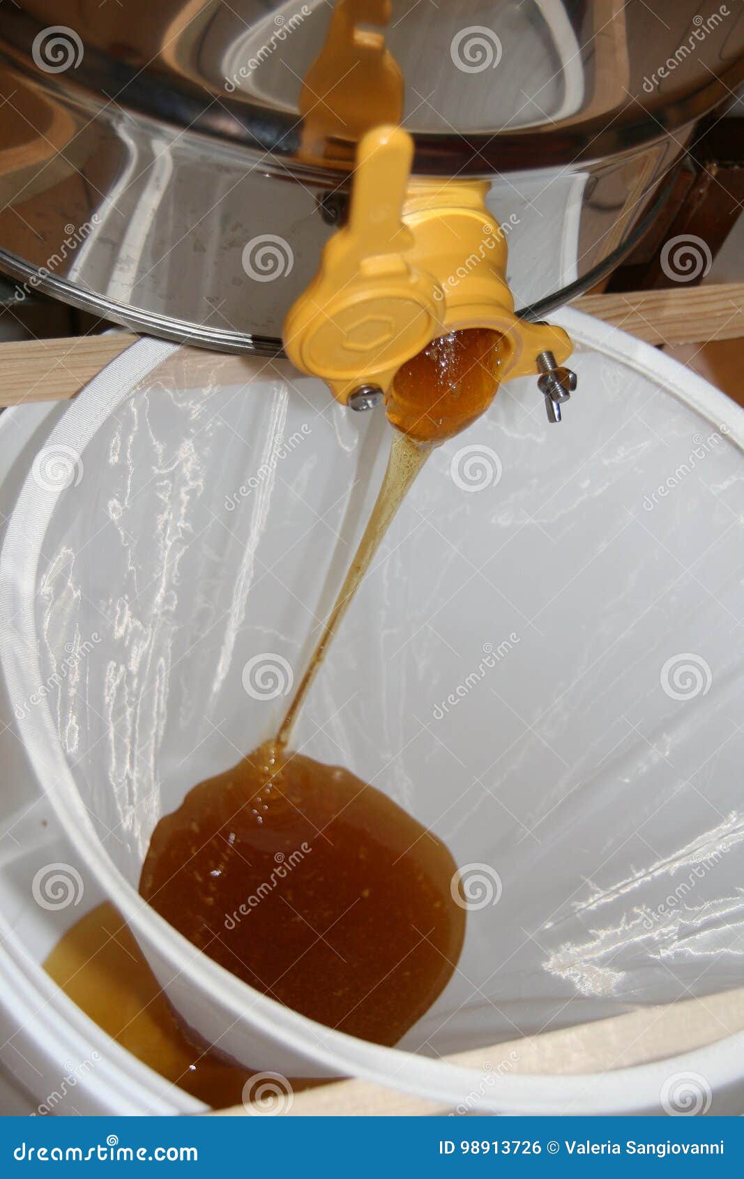 Honey extraction stock photo. Image of honey, healthy - 98913726