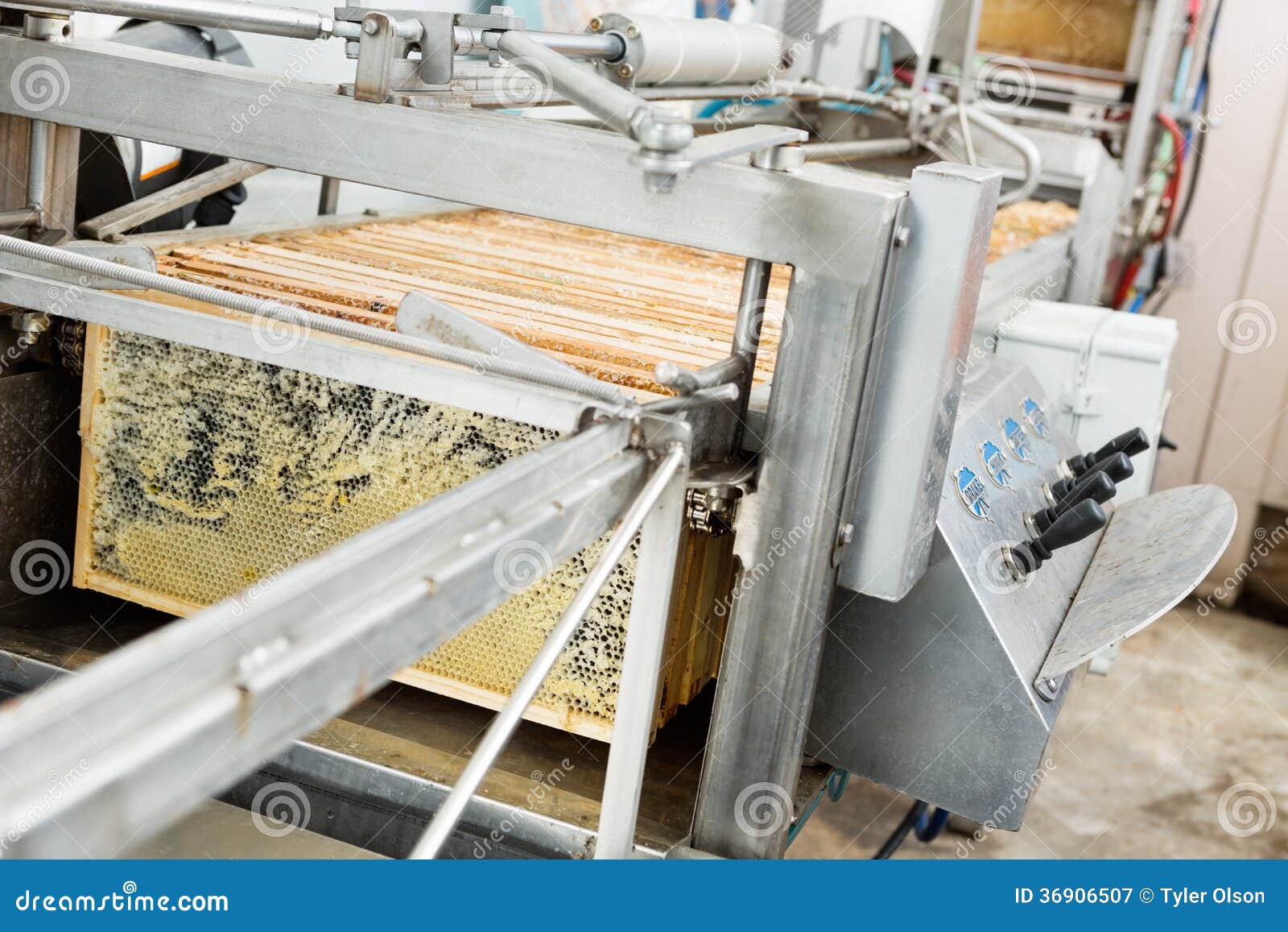 Honey Extraction Plant stock image. Image of comb, honeycomb - 36906507